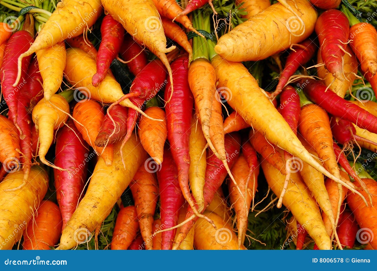 Colorful Carrots stock photo. Image of colors, vegetarian - 8006578