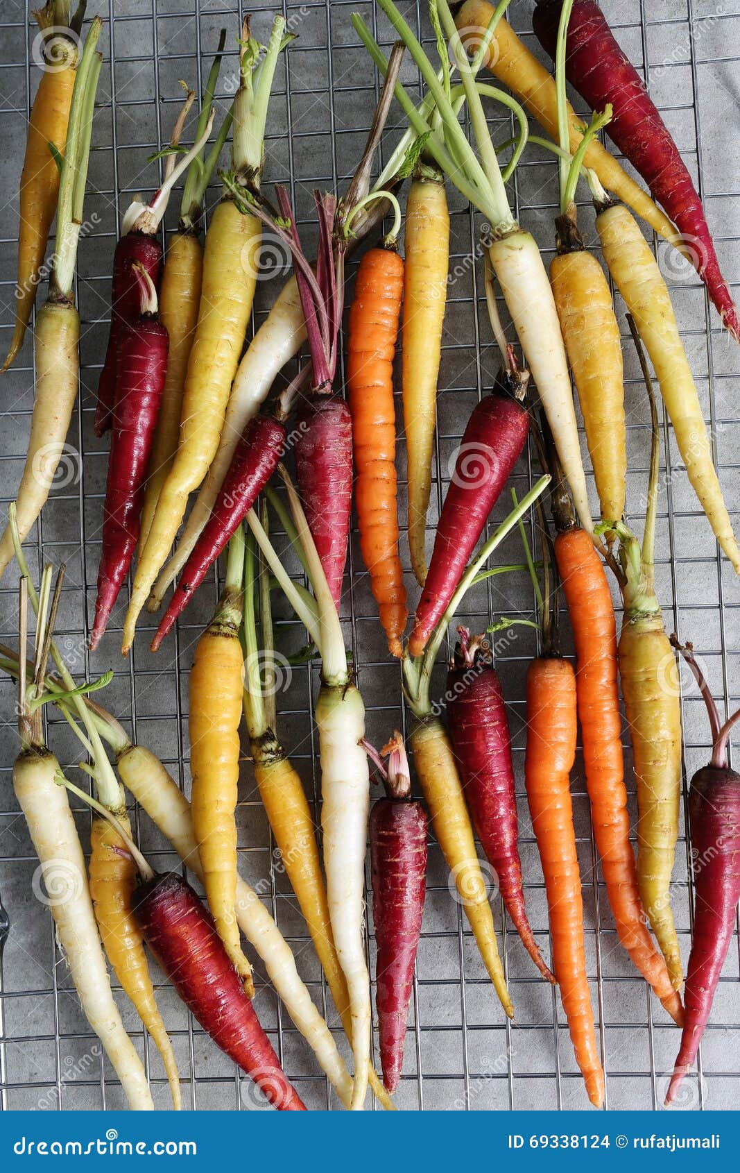 Colorful carrots stock photo. Image of natural, closeup - 69338124