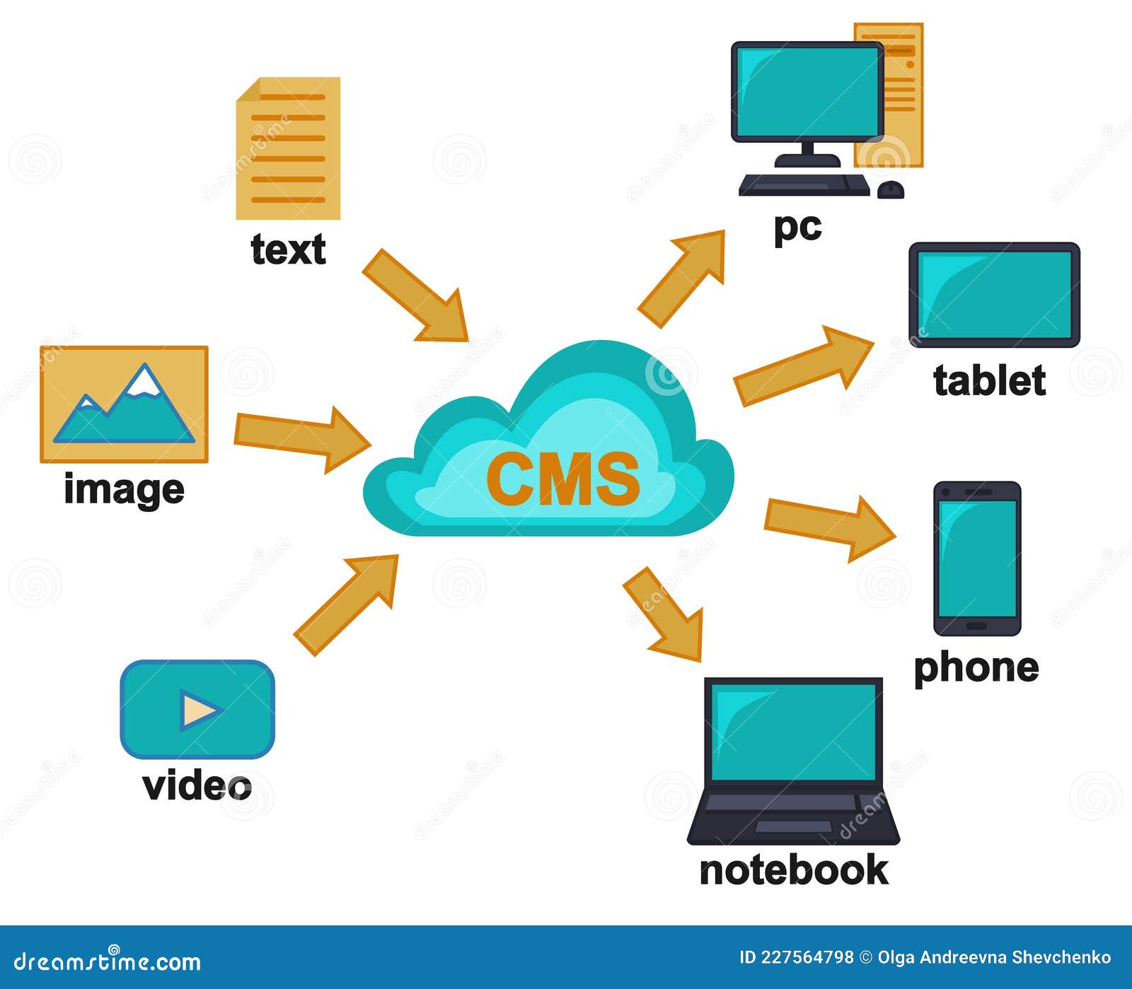 Colorful Cartoon CMS Cloud Database Infographic Poster Stock Vector ...