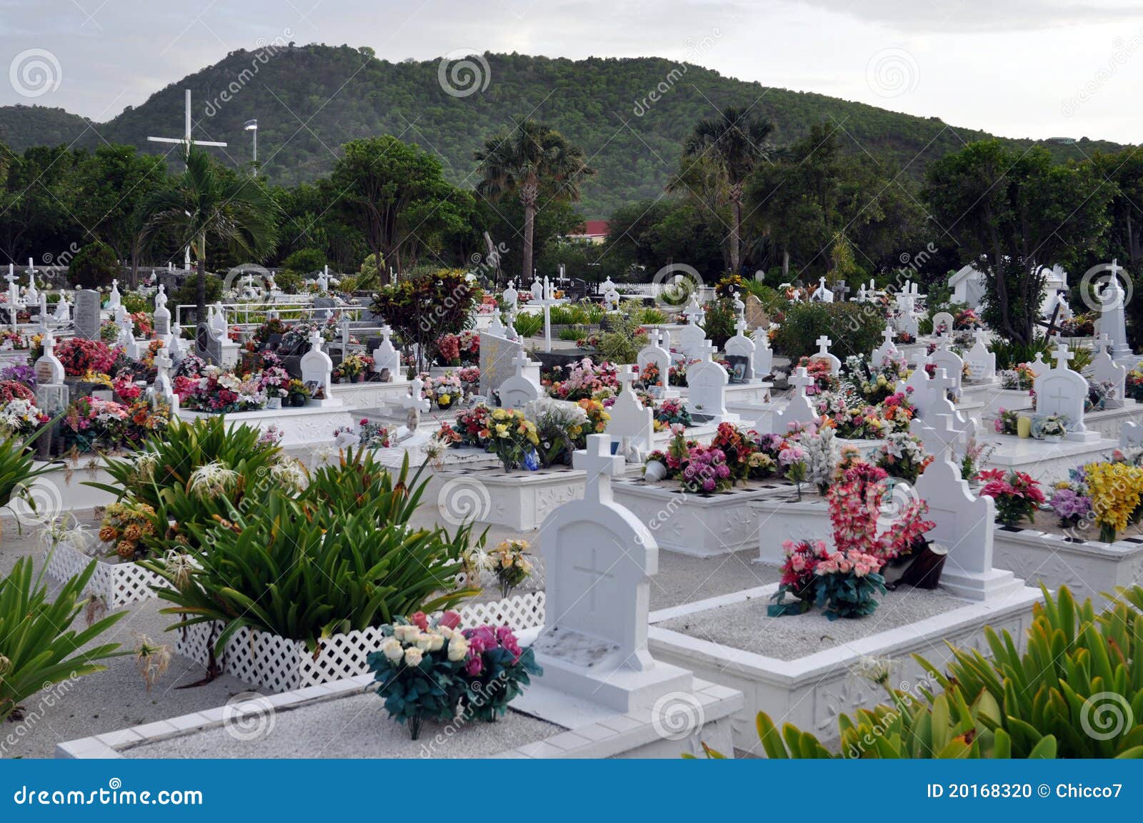 Colorful Cemetery on the Beach Editorial Image - Image of gravestone ...