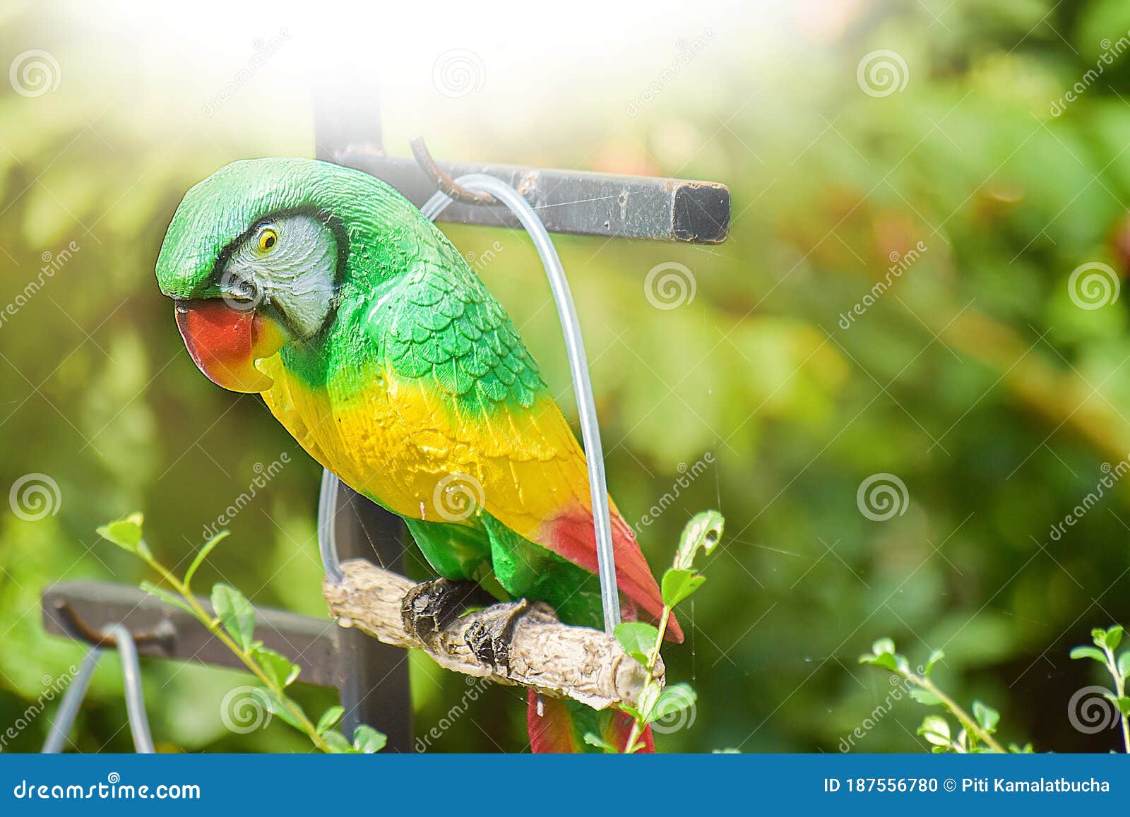 Colorful of Ceramic Parrot Hanging on the Iron Rail in Garden Stock ...