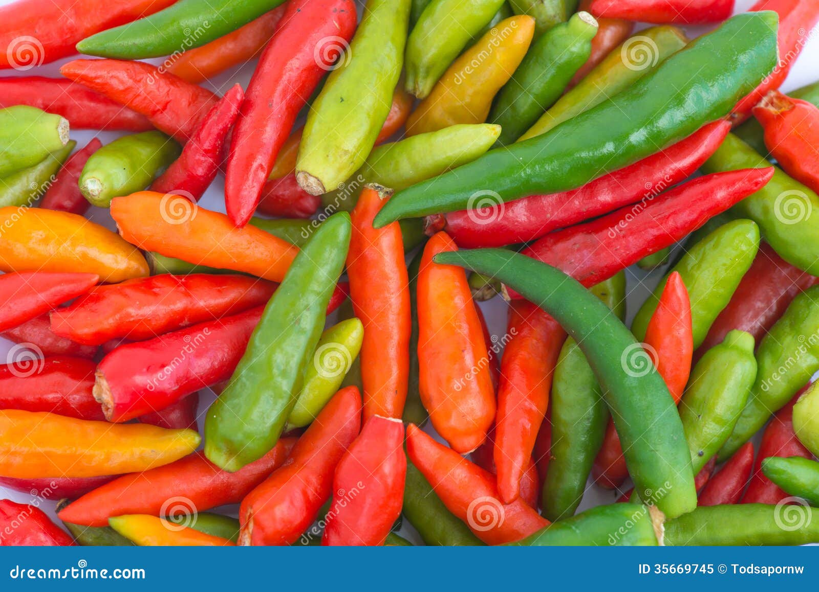Colorful Chili Pepper Full Screen Stock Image - Image of gourmet ...