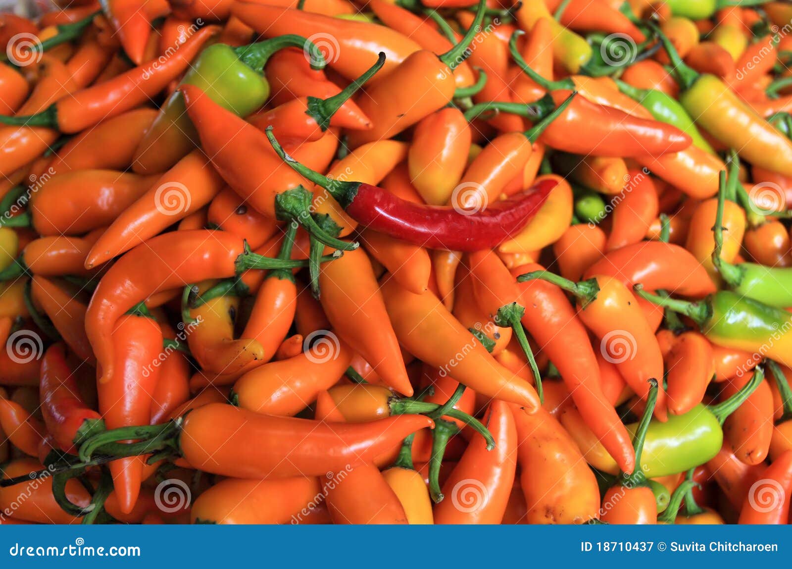 Colorful Chili Texture stock image. Image of salsa, fresh - 18710437