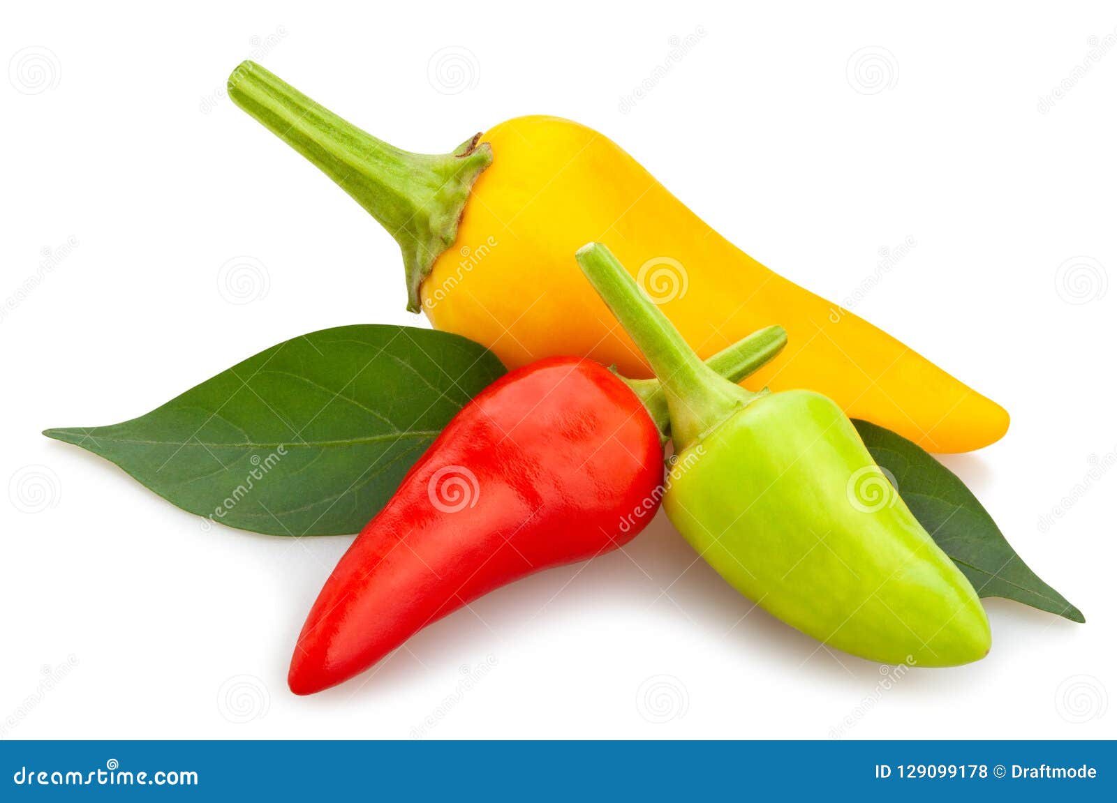 Colorful chilli pepper stock photo. Image of spice, green - 129099178