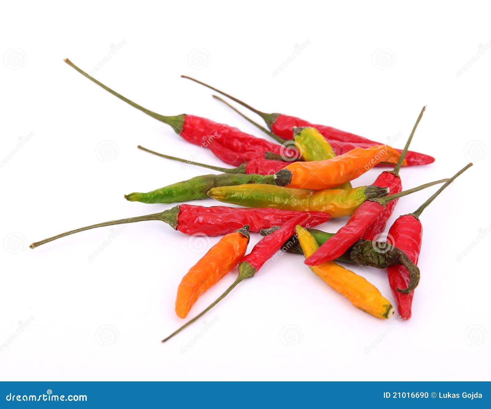 Colorful chilli peppers stock photo. Image of cayenne - 21016690