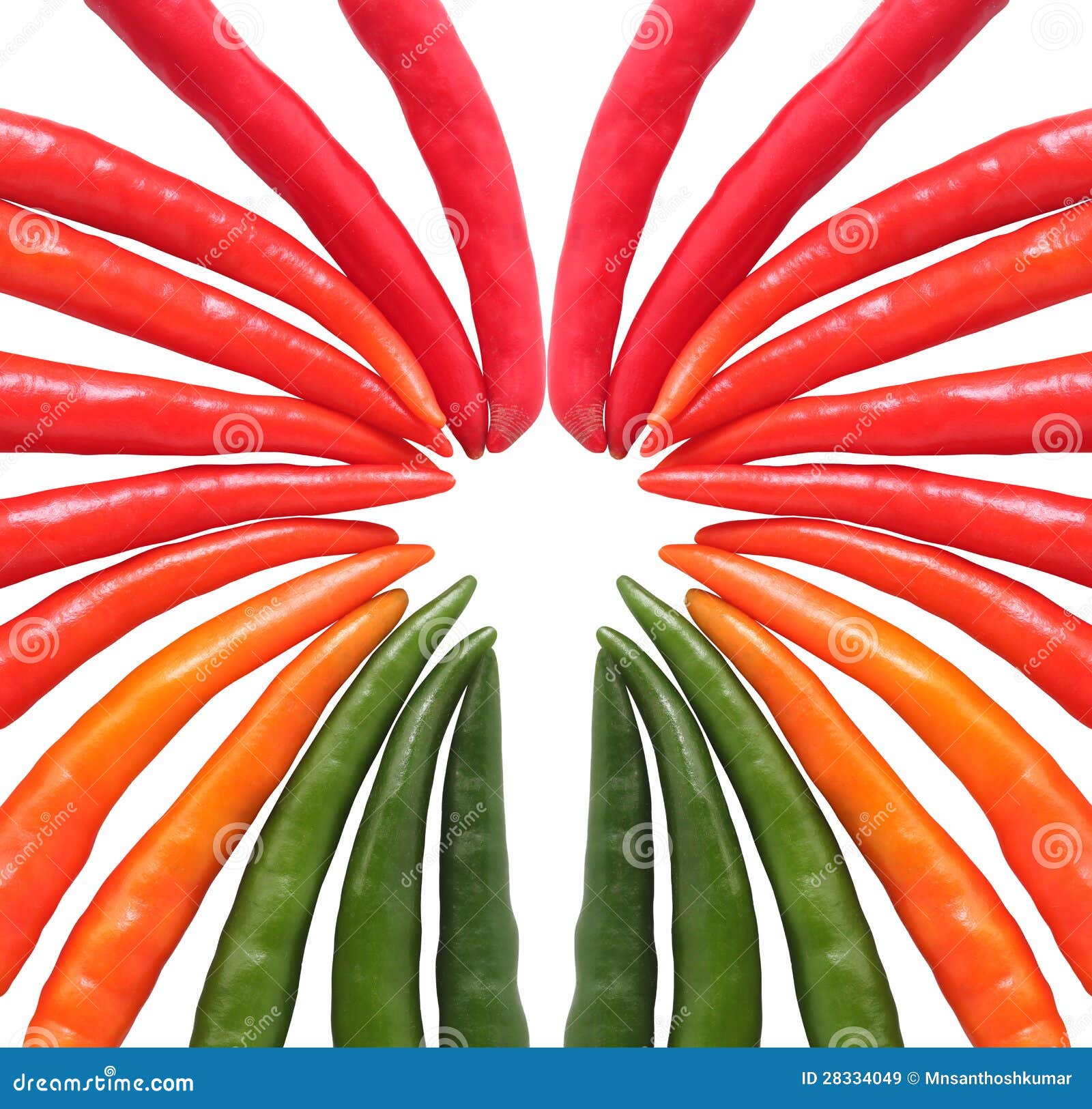 Colorful Chillies As Circle Isolated On White Stock Image - Image of ...