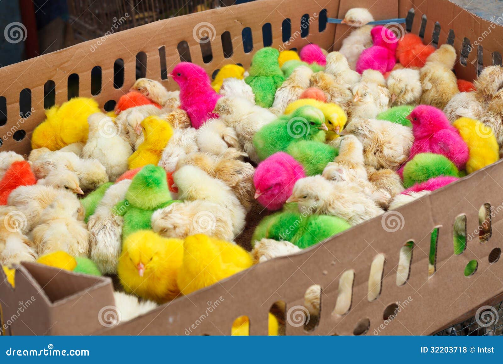 Colorful chinks in the box stock photo. Image of easter - 32203718