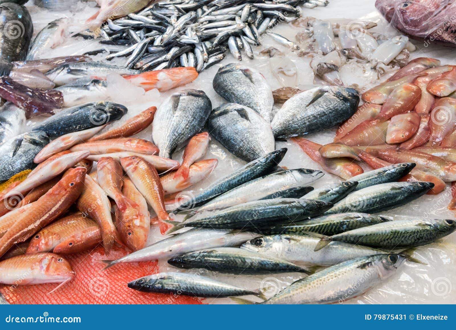 Colorful Choice of Fish at a Market Stock Image - Image of dorado ...