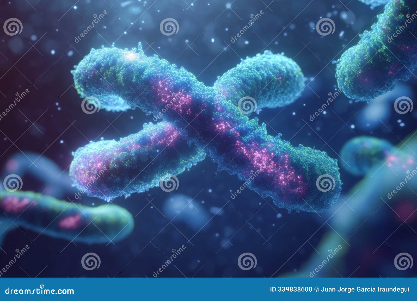 Colorful Chromosomes in Cell Division Stock Photo - Image of organisms ...