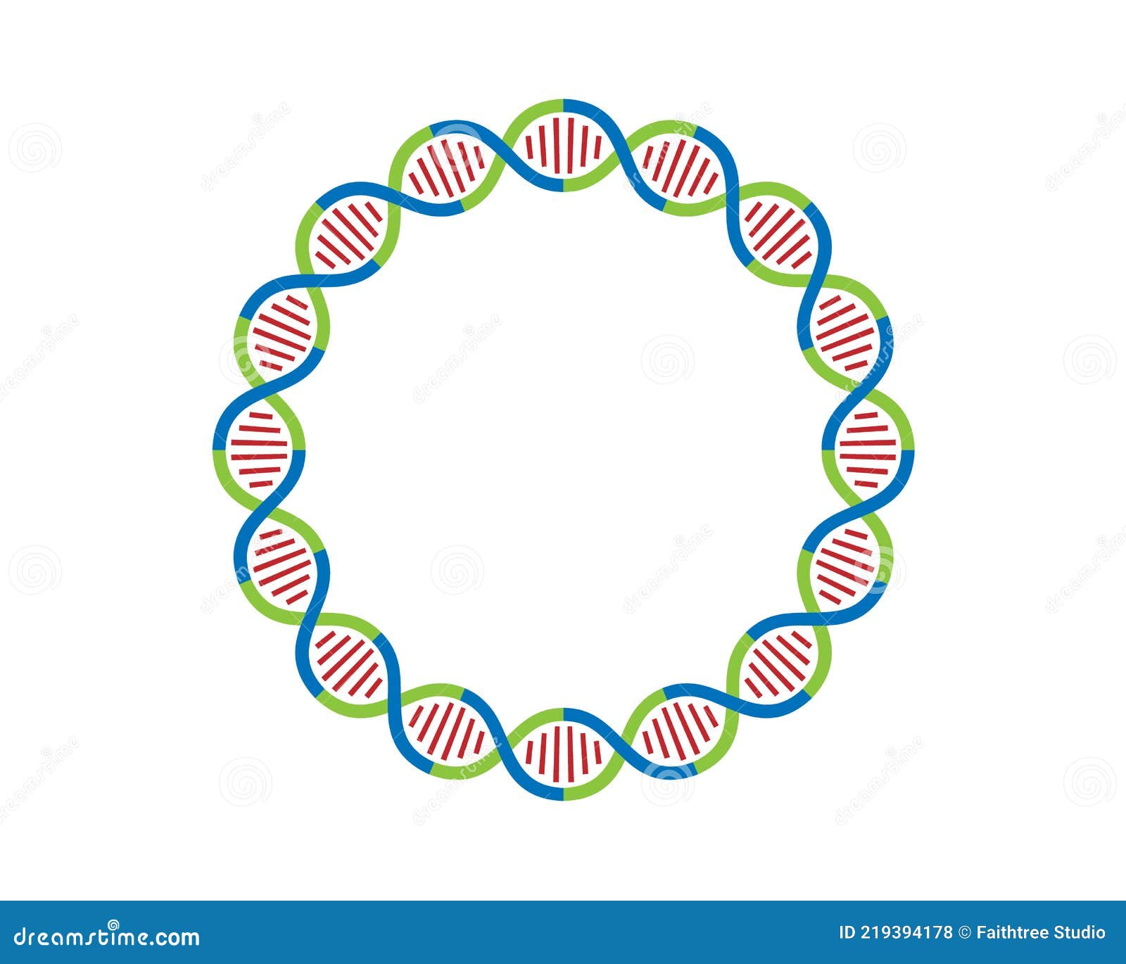 Colorful Circular DNA Strands Loop 16 Parts Stock Vector - Illustration ...