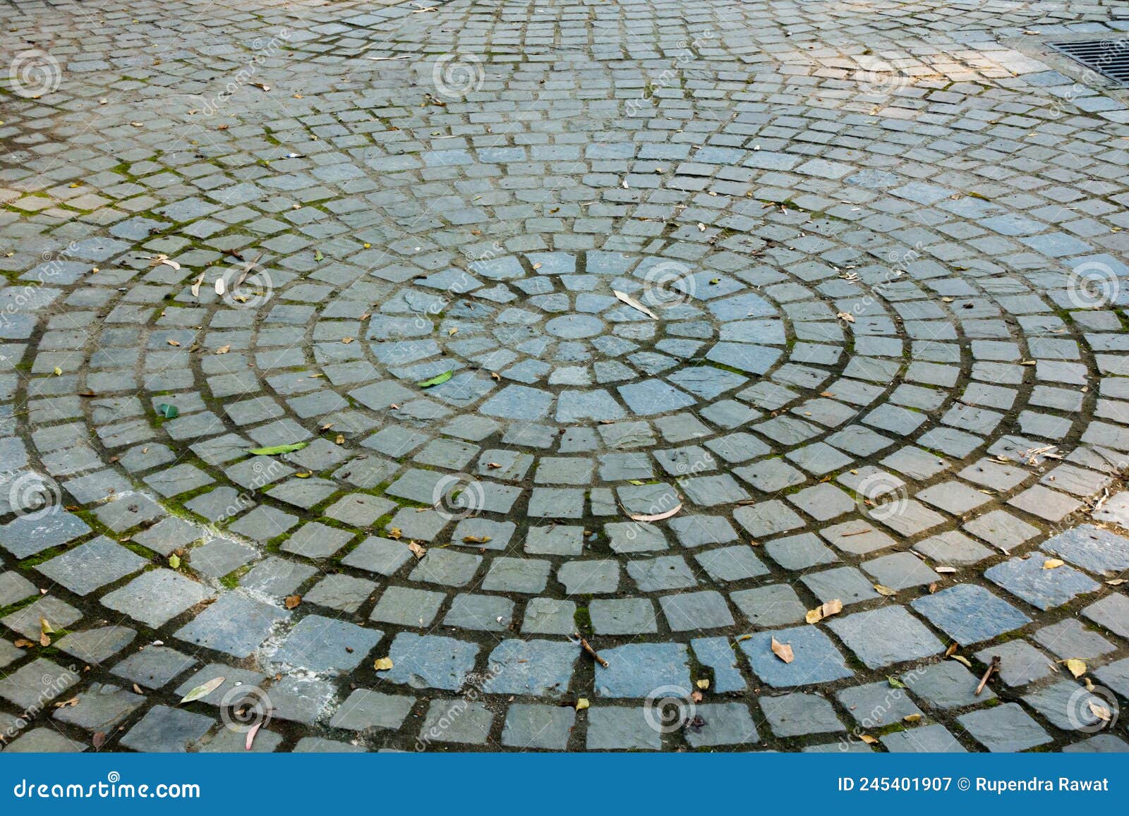 A Colorful Circular Tile Pattern on the Footpath Stock Image - Image of ...