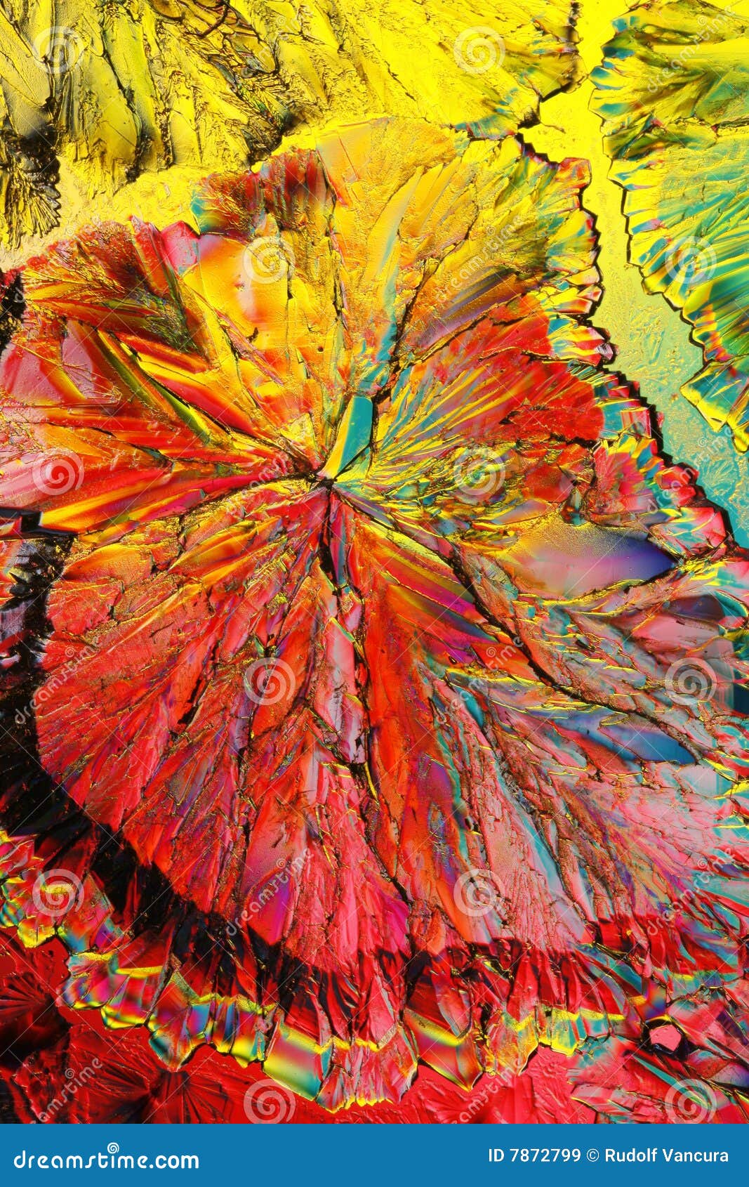 Colorful Citric Acid Crystals Stock Image - Image of structure, details ...