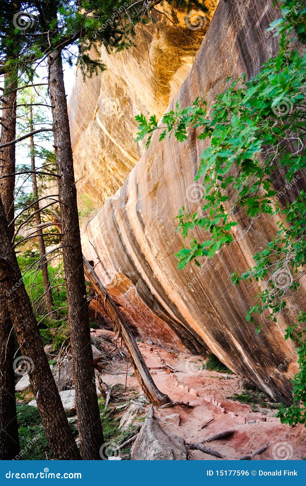 Colorful cliff wall stock photo. Image of utah, trees - 15177596