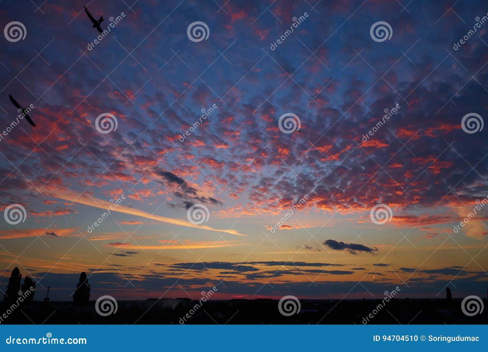 Colorful Clouds and Birds in the Sky at Sunset Stock Photo - Image of ...