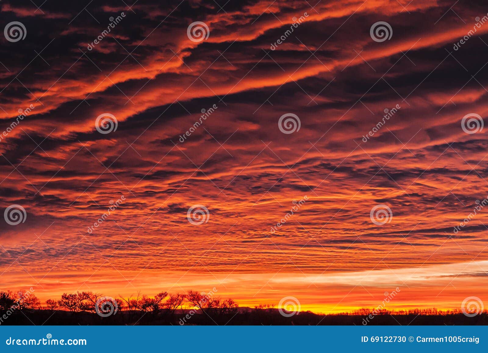 1,017 Tree Lined Horizon Stock Photos - Free & Royalty-Free Stock ...