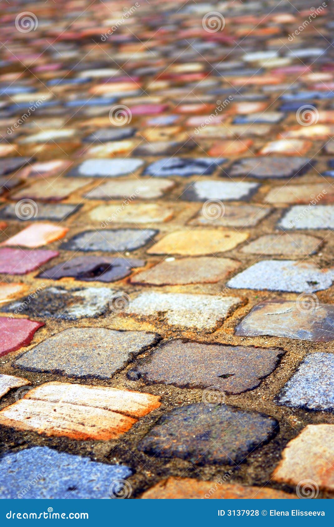Colorful cobblestones stock photo. Image of cobble, reflection - 3137928