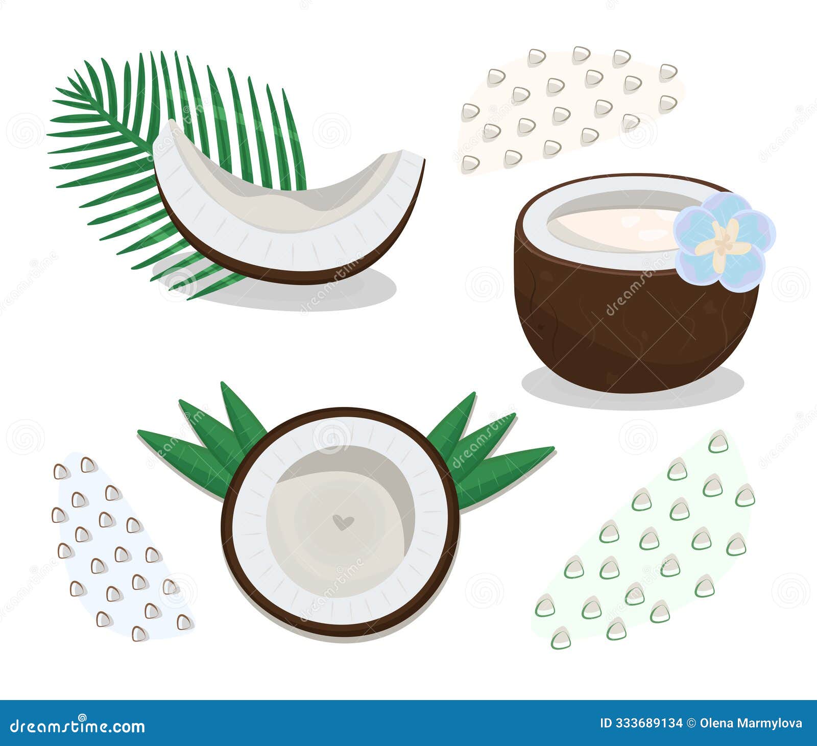 Colorful Coconut Set In Different Variations Vector Illustration ...
