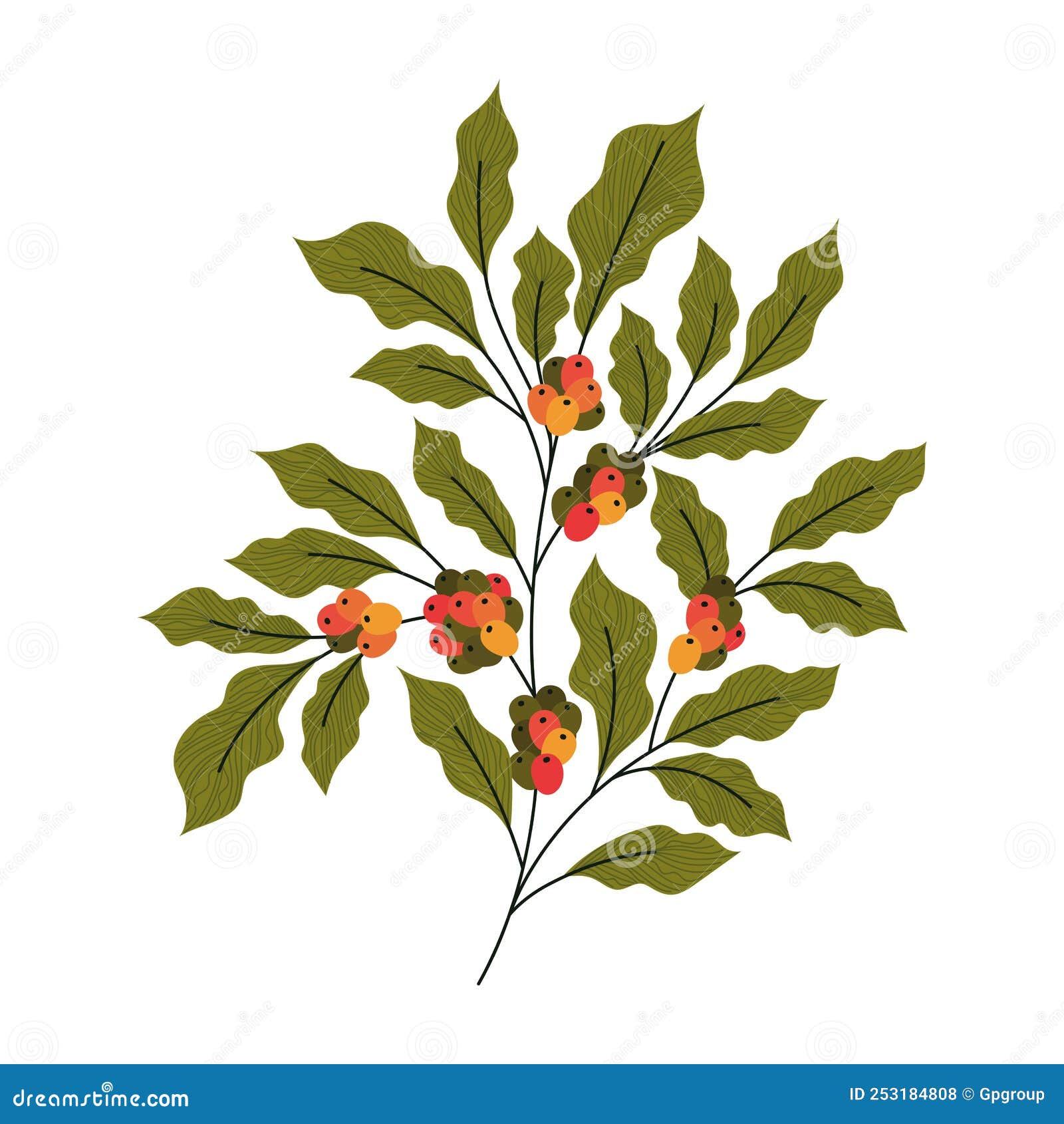 Colorful coffee tree stock vector. Illustration of agriculture - 253184808