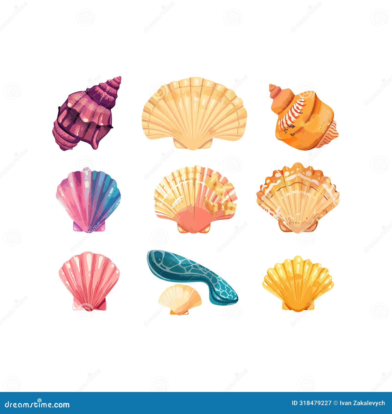 Colorful Collection of Illustrated Sea Shells. Vector Illustration ...