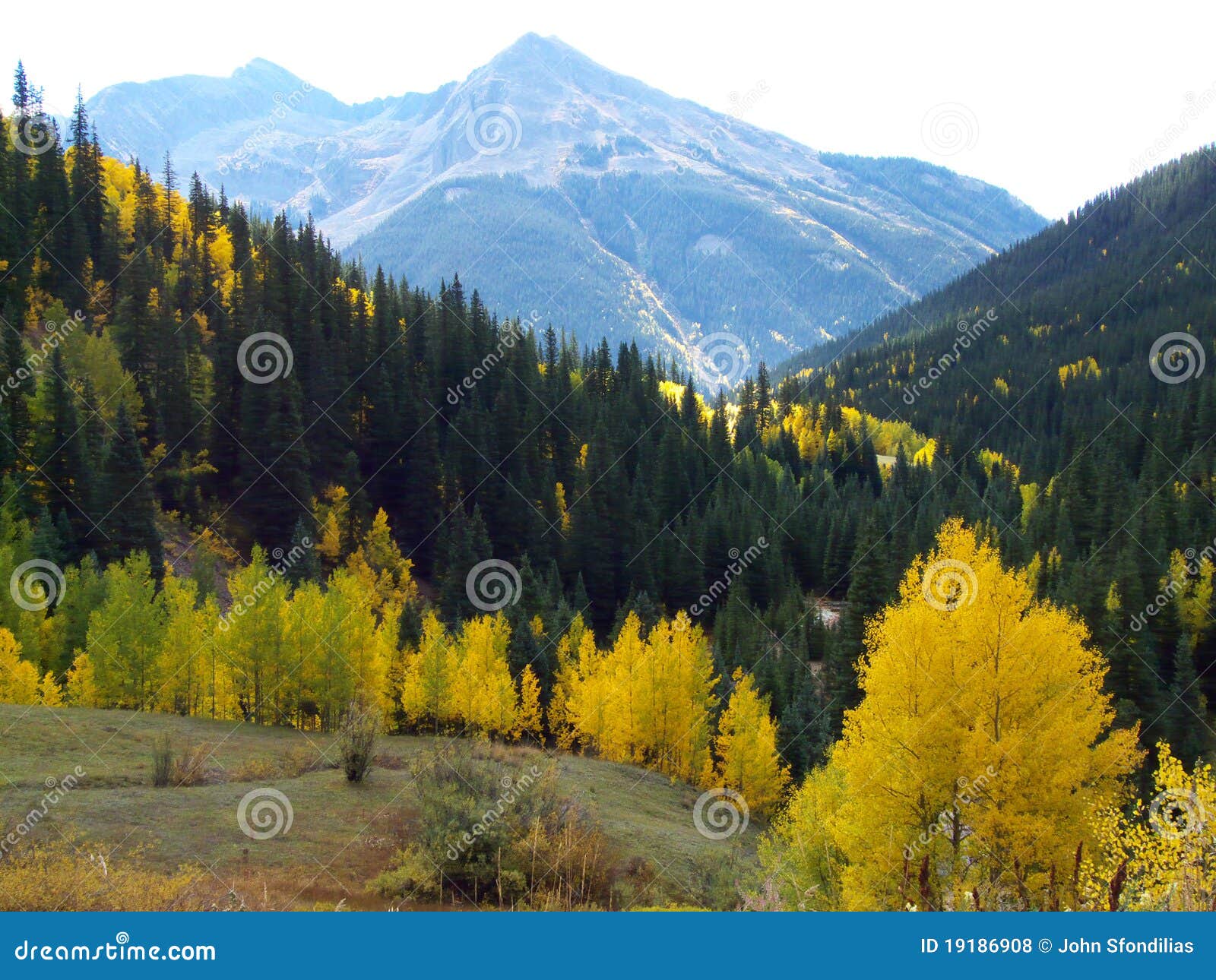 Colorful Colorado stock photo. Image of forest, nature - 19186908