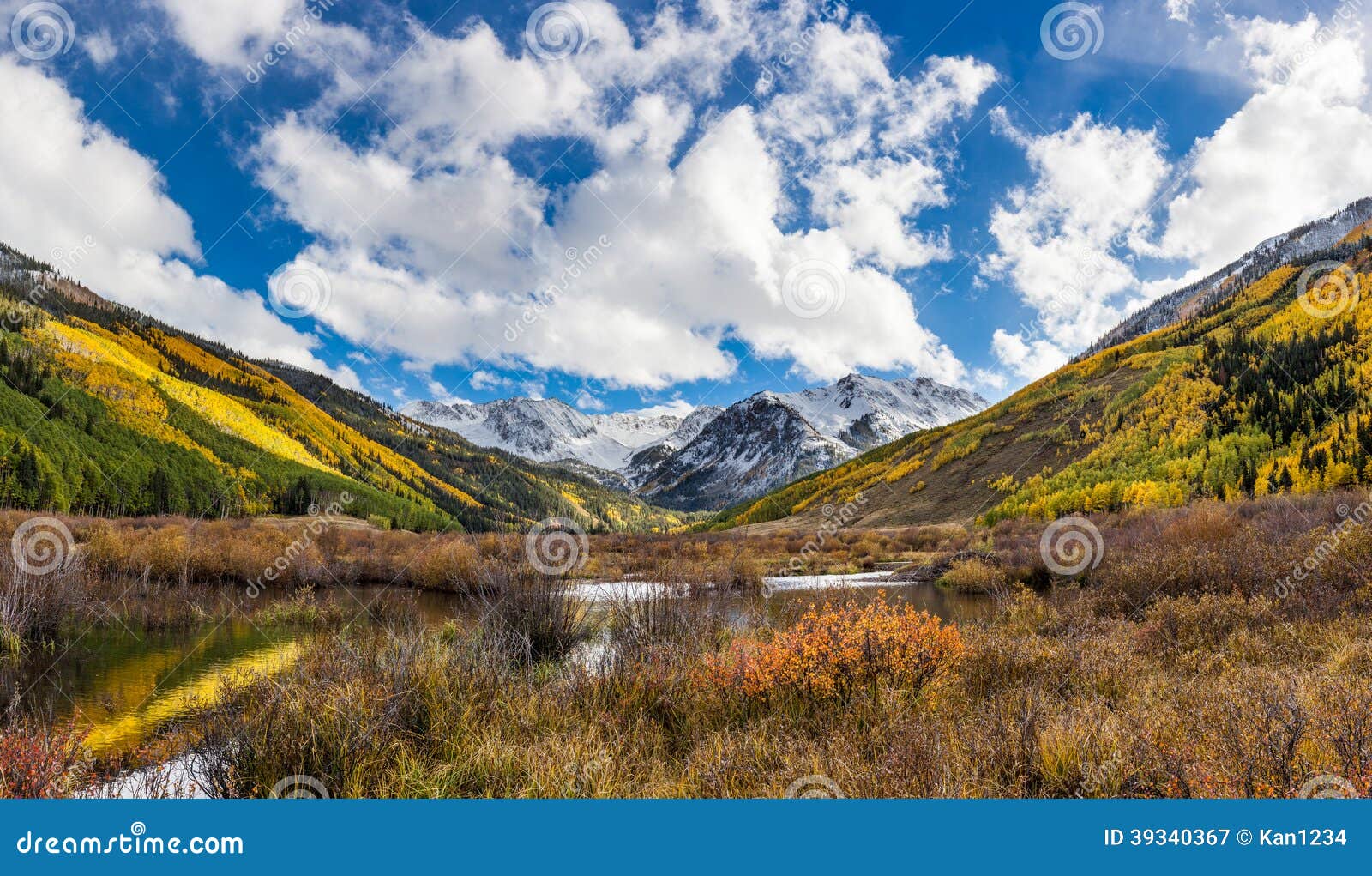 Colorful Colorado Mountain in Fall Stock Image - Image of forest ...