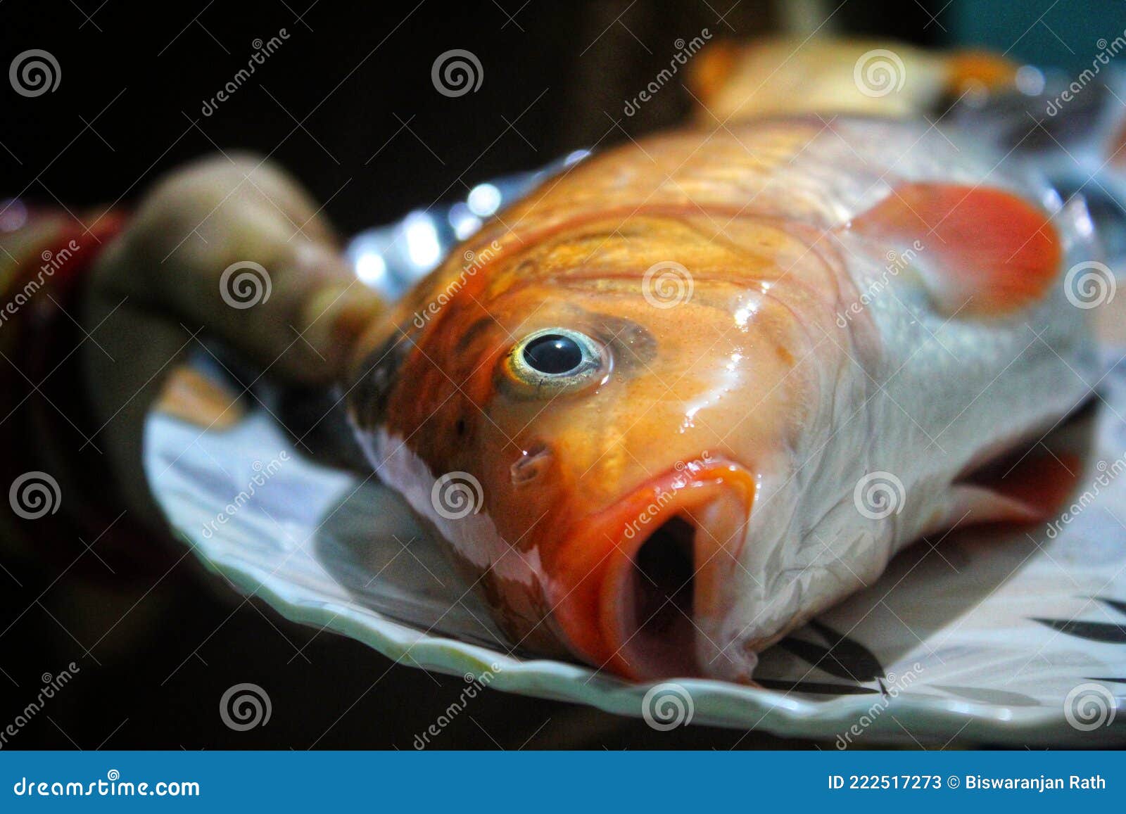 Colorful Common Carp Fish on Plate Koi Carp in Plate from Different ...