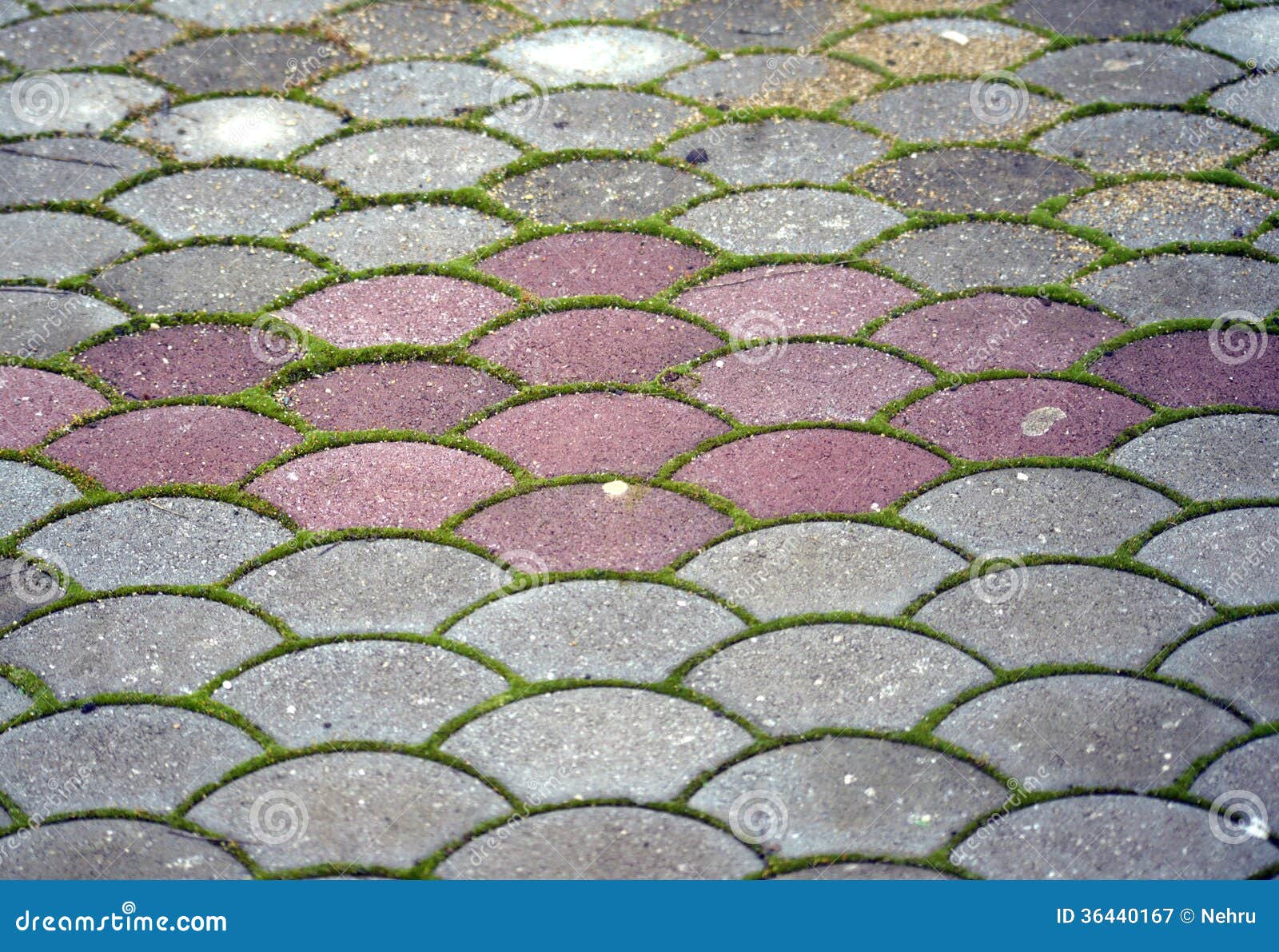 Colorful Concrete Pavement with Grass Stock Image - Image of tile ...