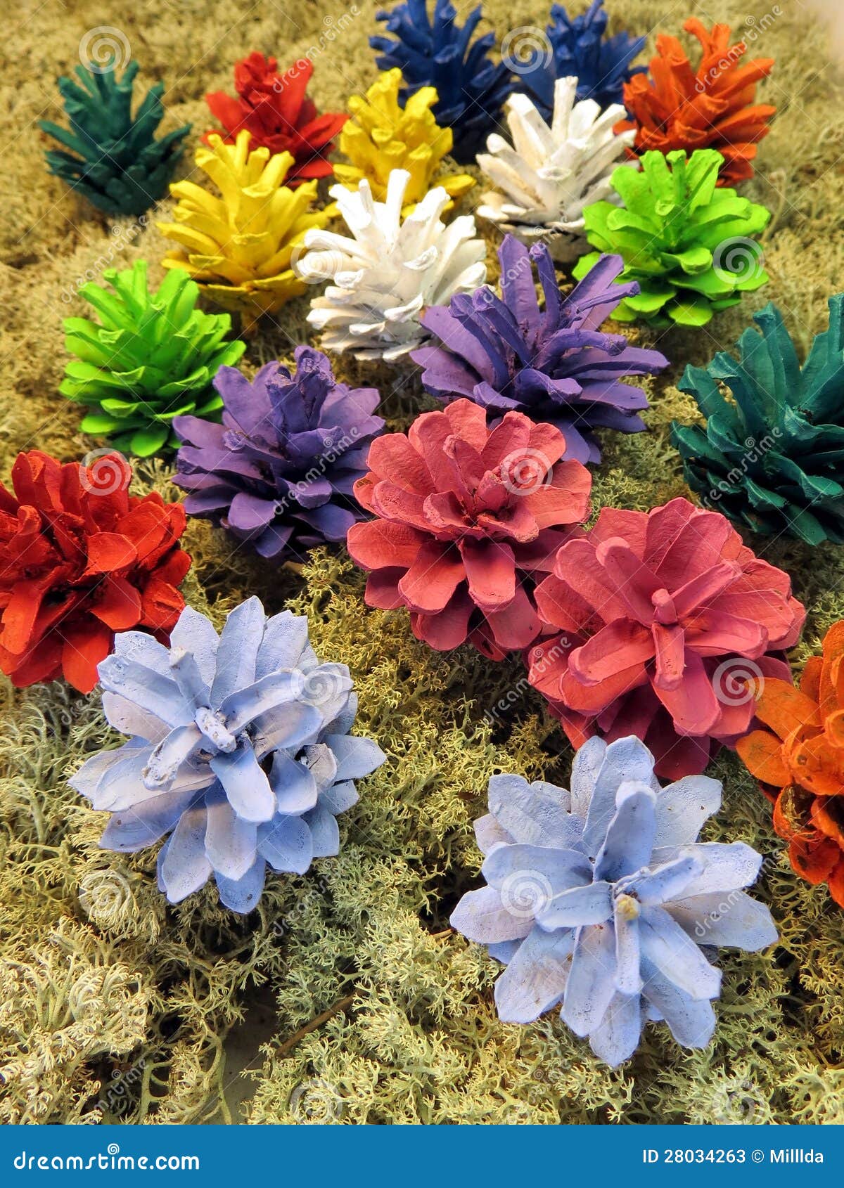 Colorful cones stock image. Image of pine, colored, colors - 28034263