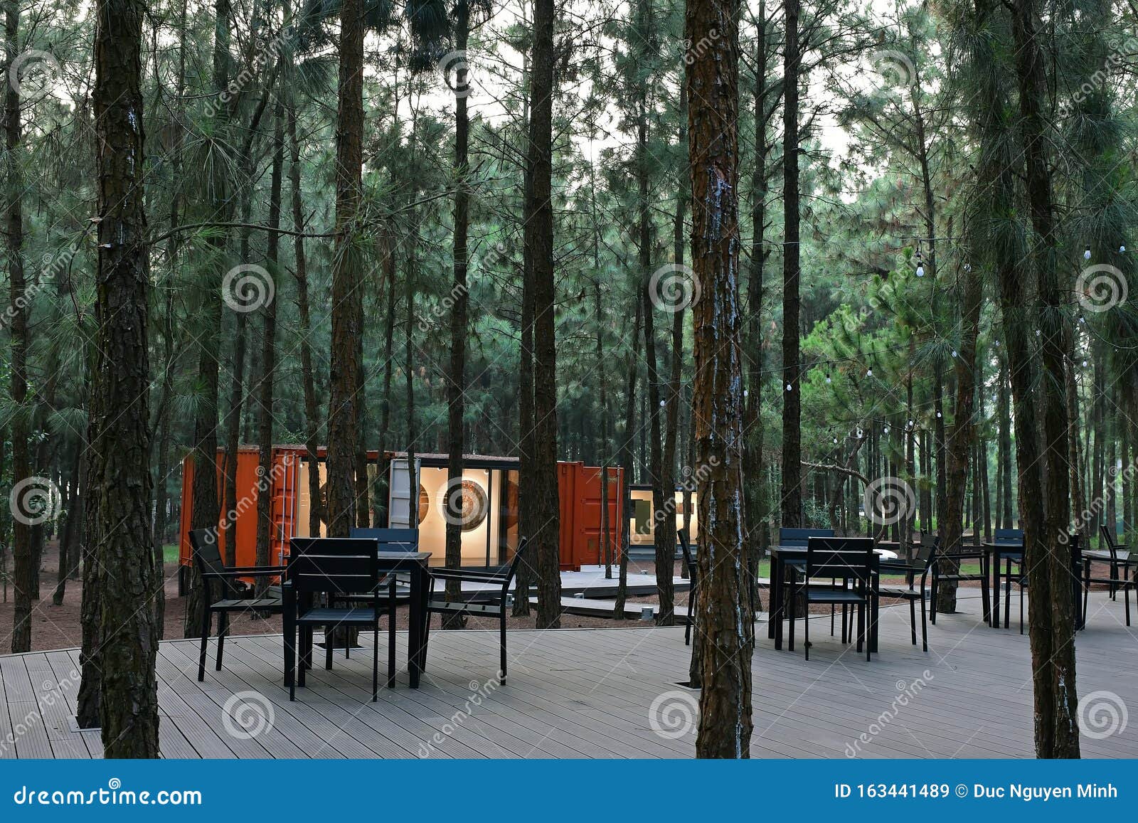 Coffee shop in the forest stock image. Image of container - 163441489