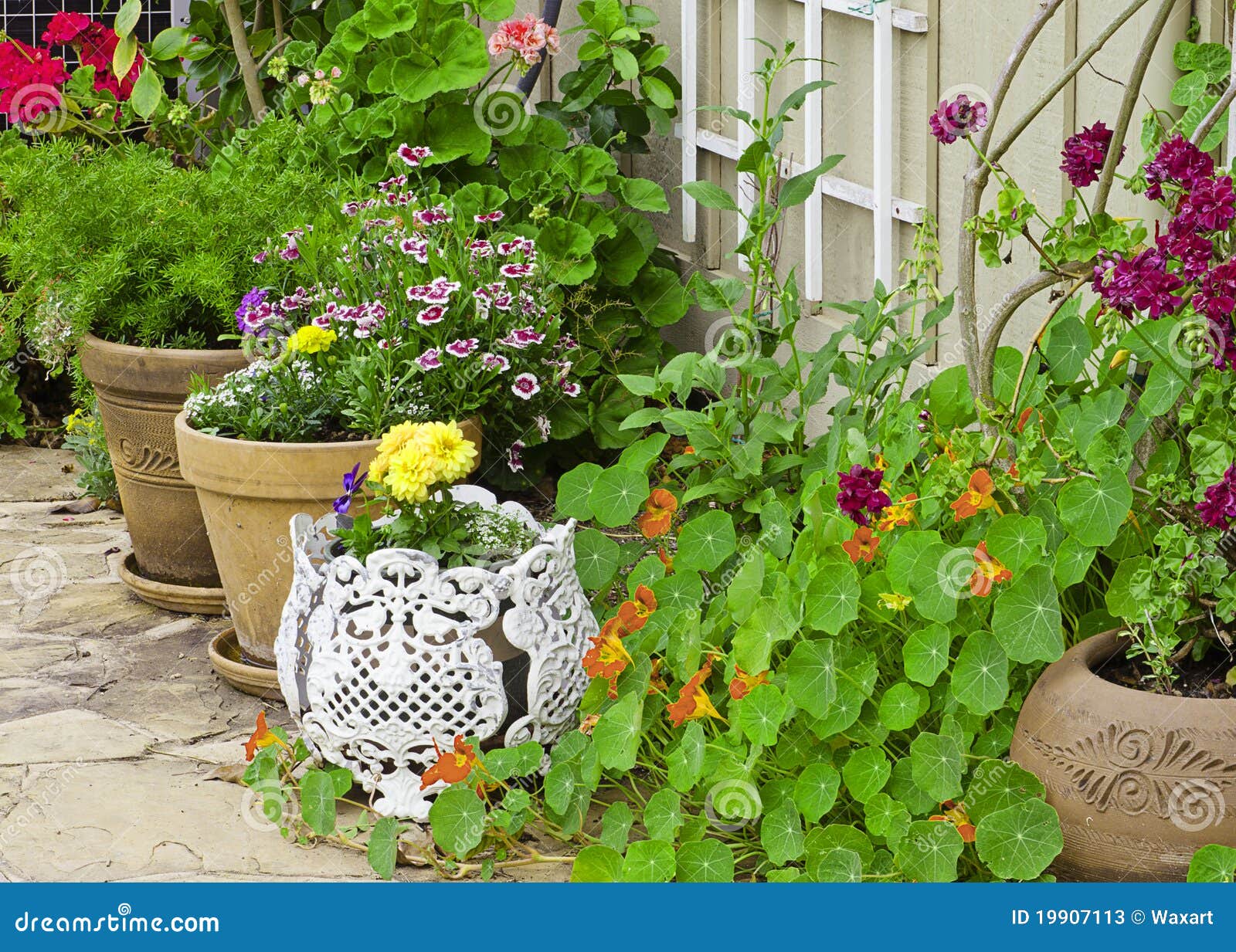 Colorful Container Flower Garden Stock Image - Image of marigolds ...