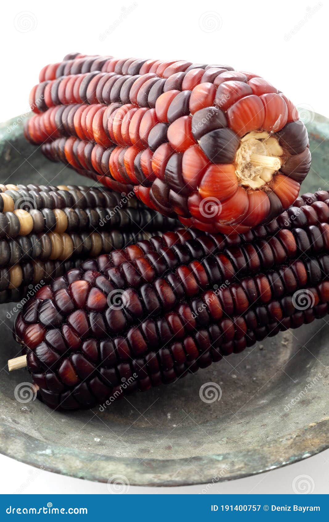Colorful Corn Cobs on White Ground Stock Image - Image of herb, crop ...