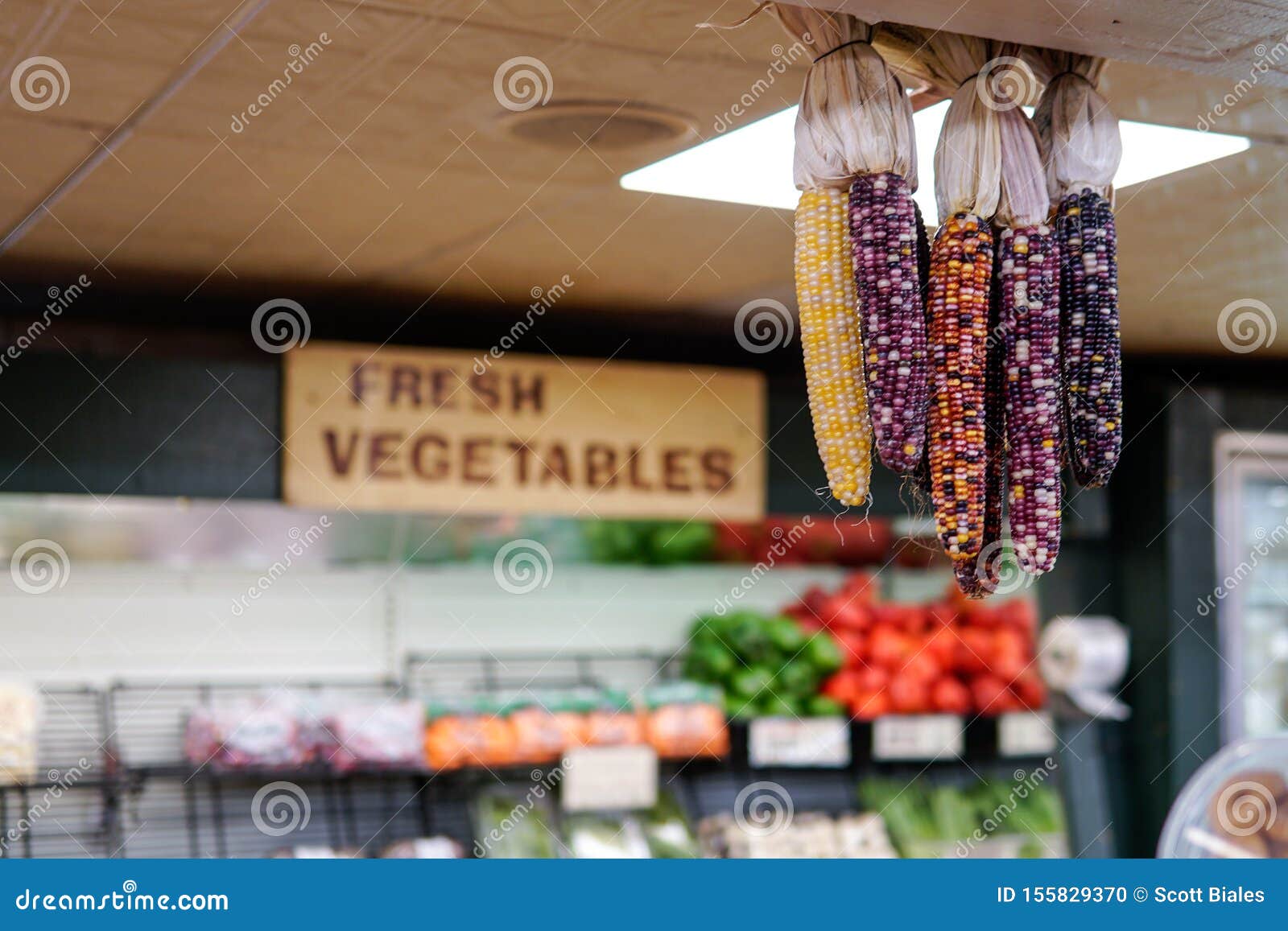 Colorful Corn Hanging To Dry from Ceiling Stock Photo - Image of ...