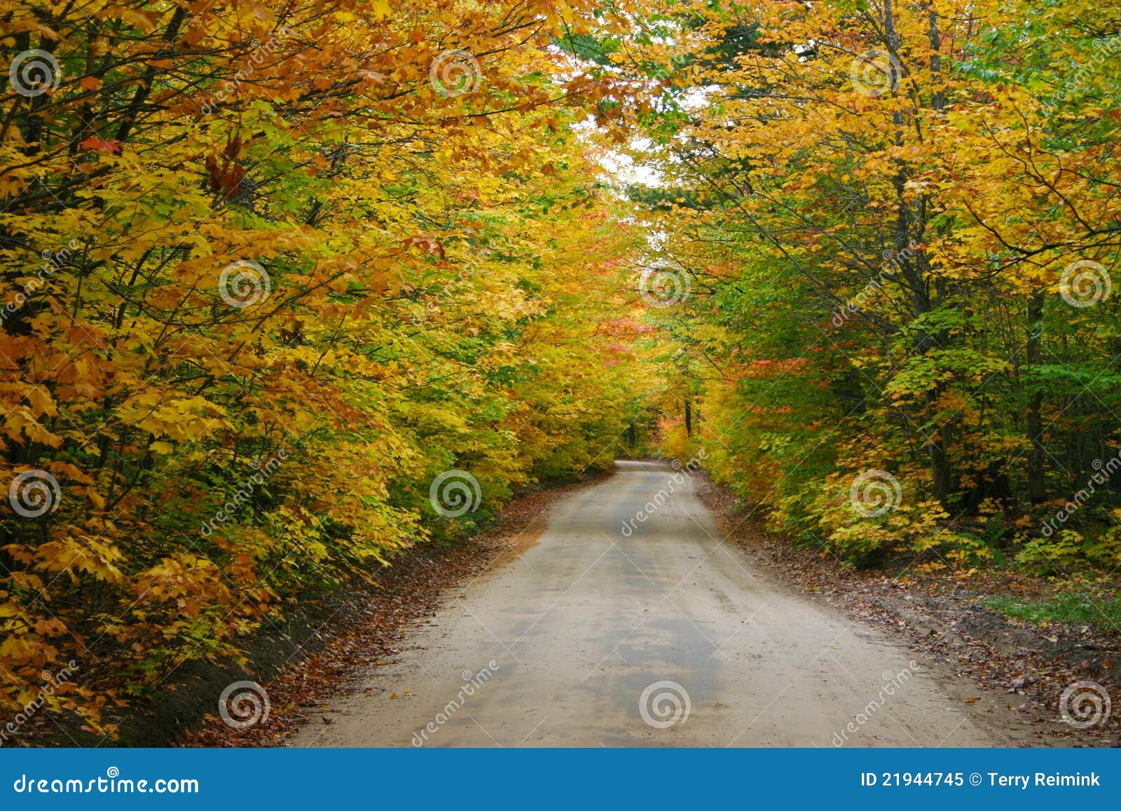 Colorful country road stock image. Image of road, autumn - 21944745