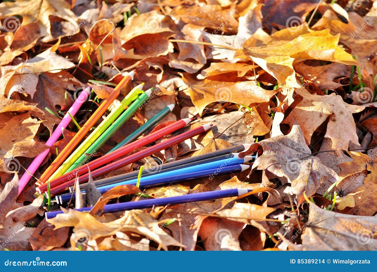 Colorful Crayons among the Autumn Leaves. Stock Photo - Image of draw ...