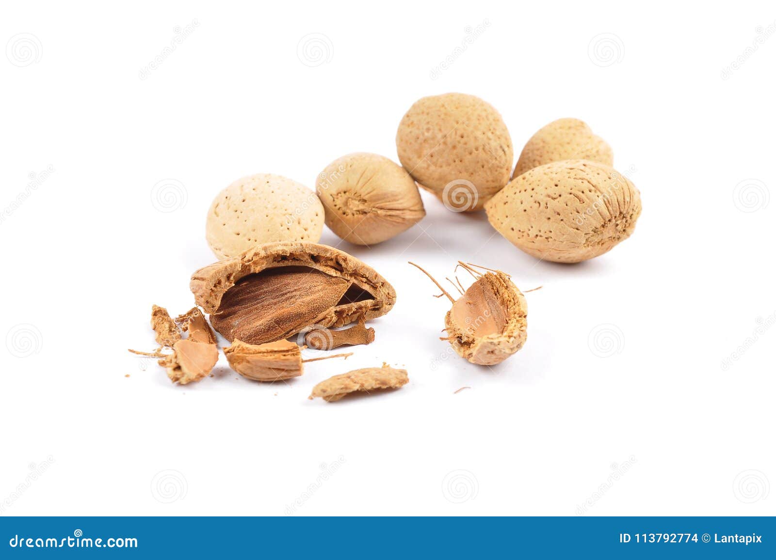 Almonds cracked on white stock photo. Image of kernel - 113792774