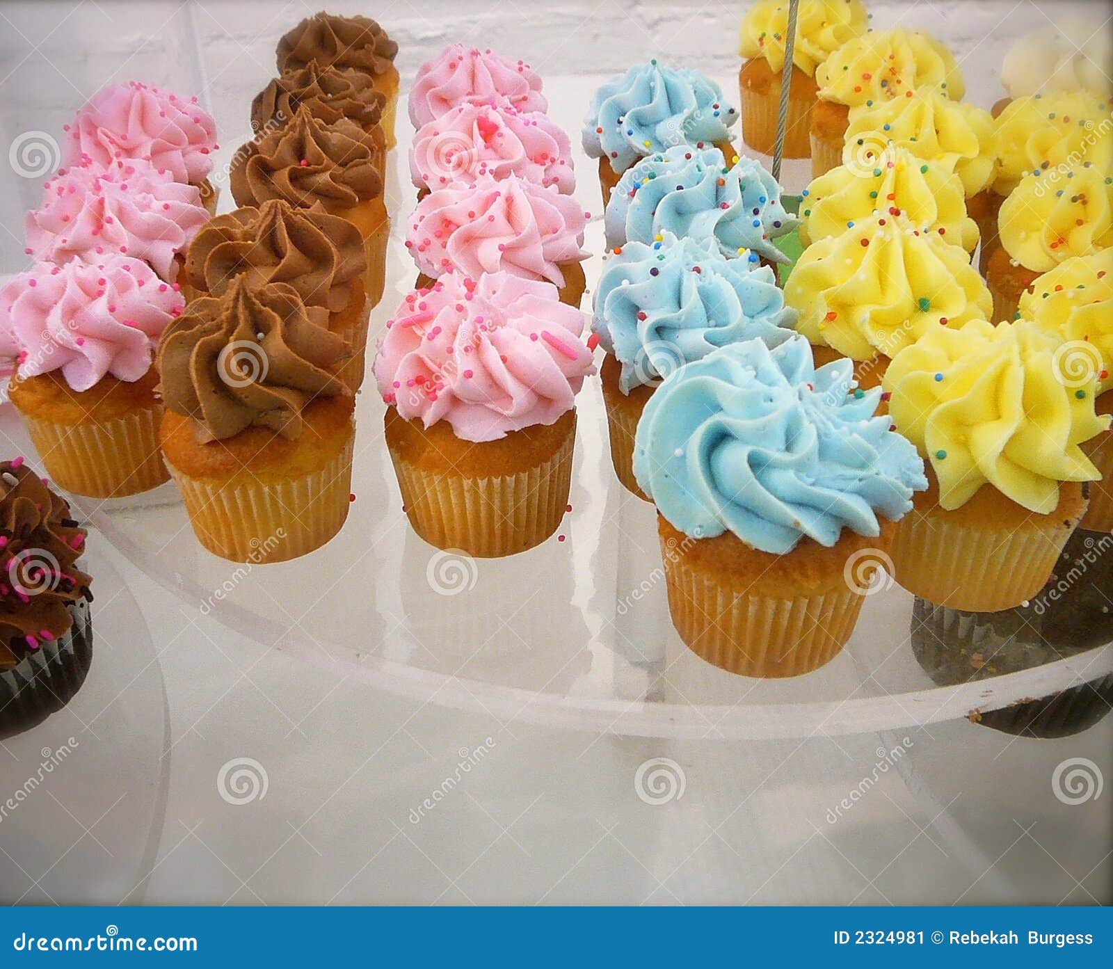 Colorful Cupcakes stock image. Image of colorful, frost - 2324981