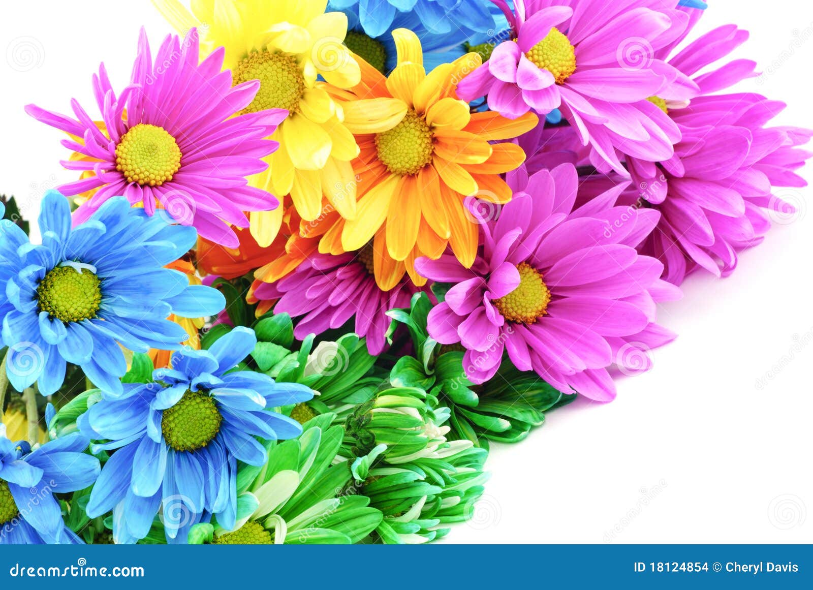 Colorful Daisies stock photo. Image of flower, easter - 18124854