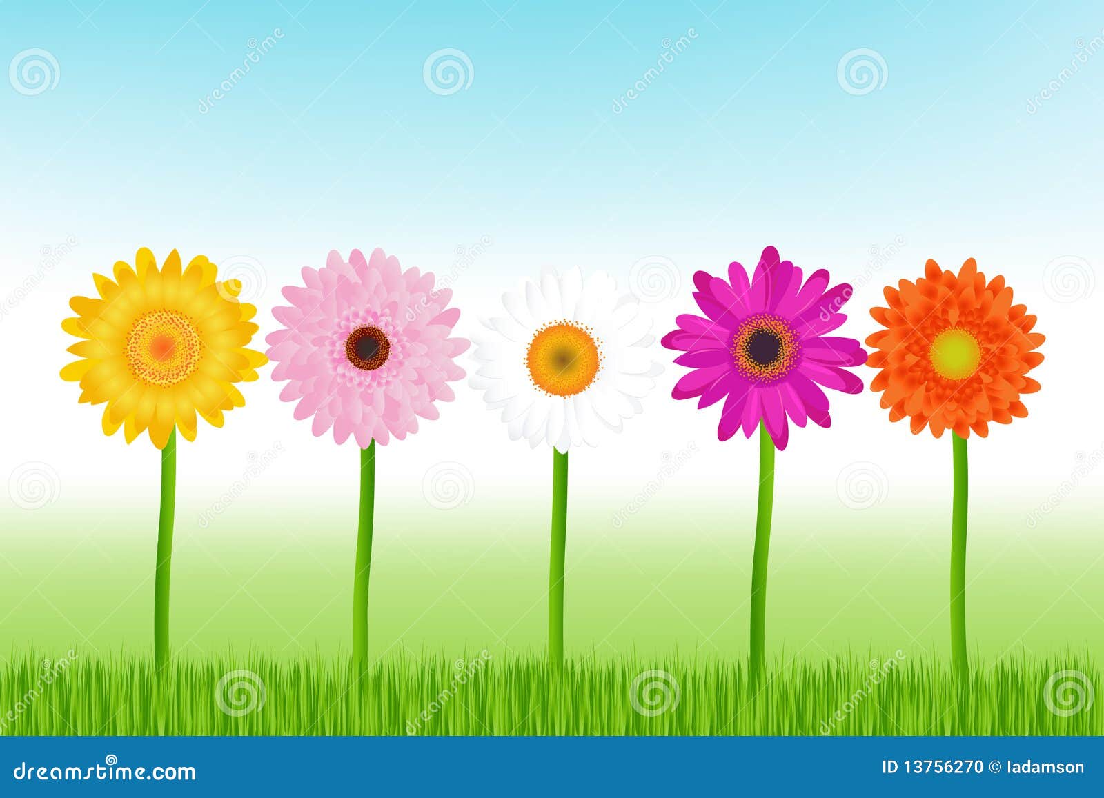 Colorful Daisies. Vector stock vector. Illustration of gerbera - 13756270