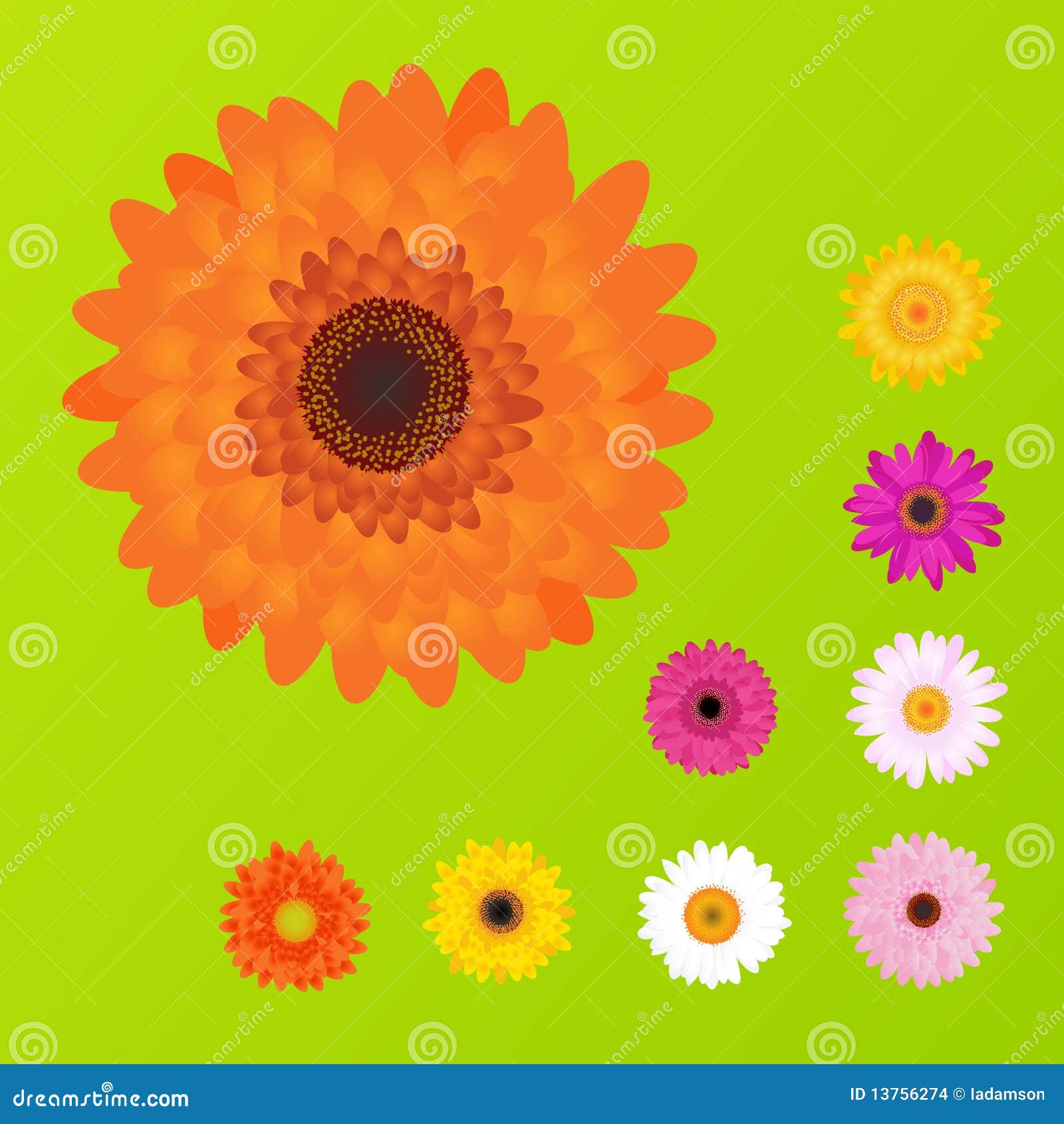 Colorful Daisies. Vector stock vector. Illustration of emotion - 13756274