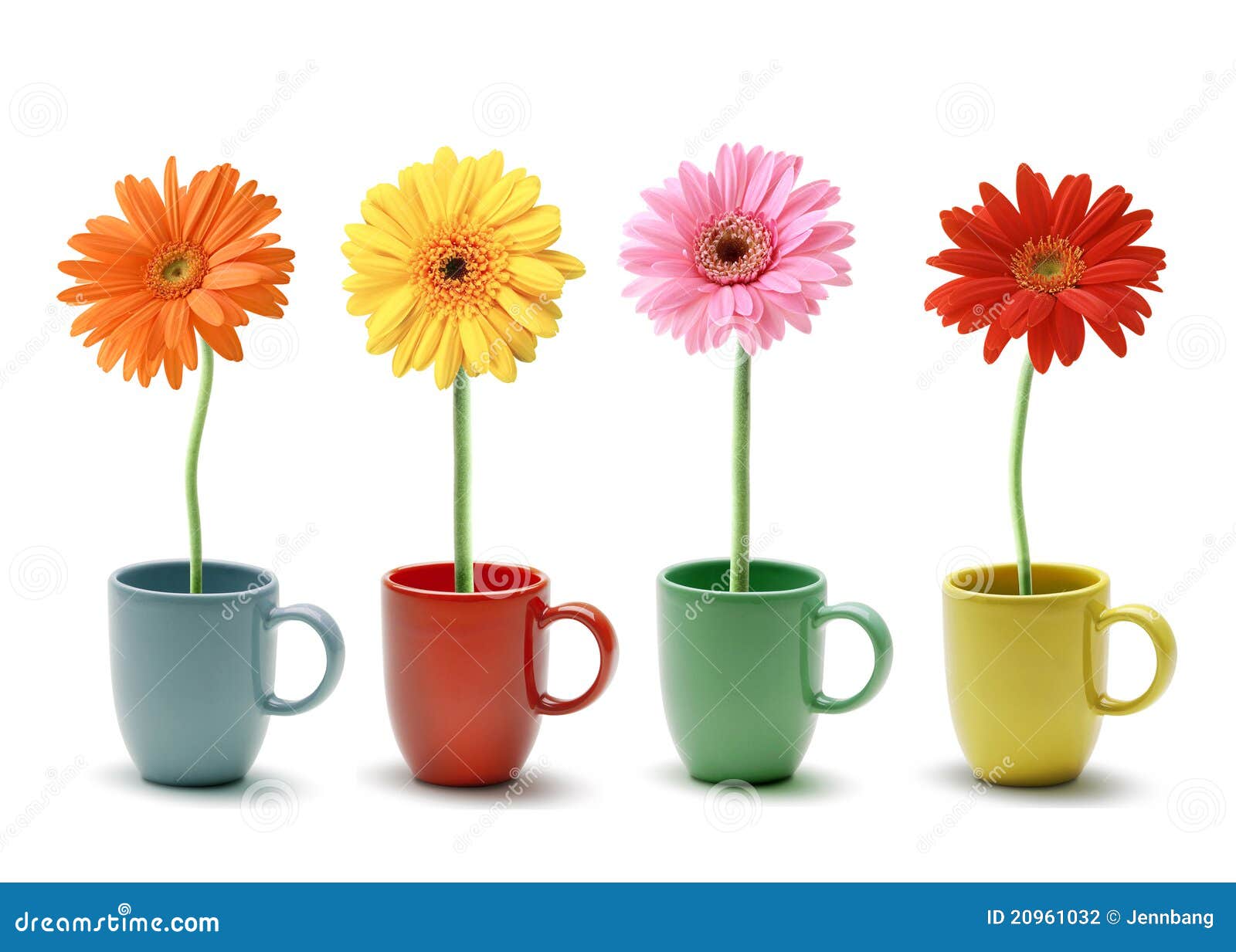 Colorful Daisy in Coffee Mug Stock Photo - Image of background, coffee ...