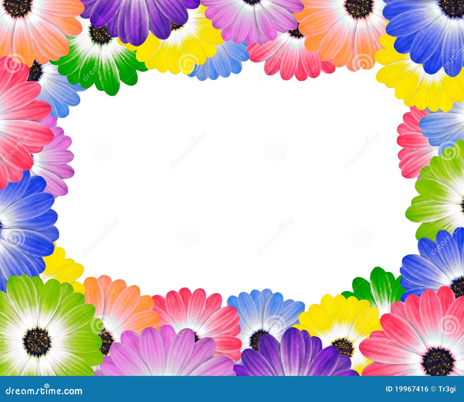 Colorful Daisy Flowers Around Edge of Frame Stock Illustration ...