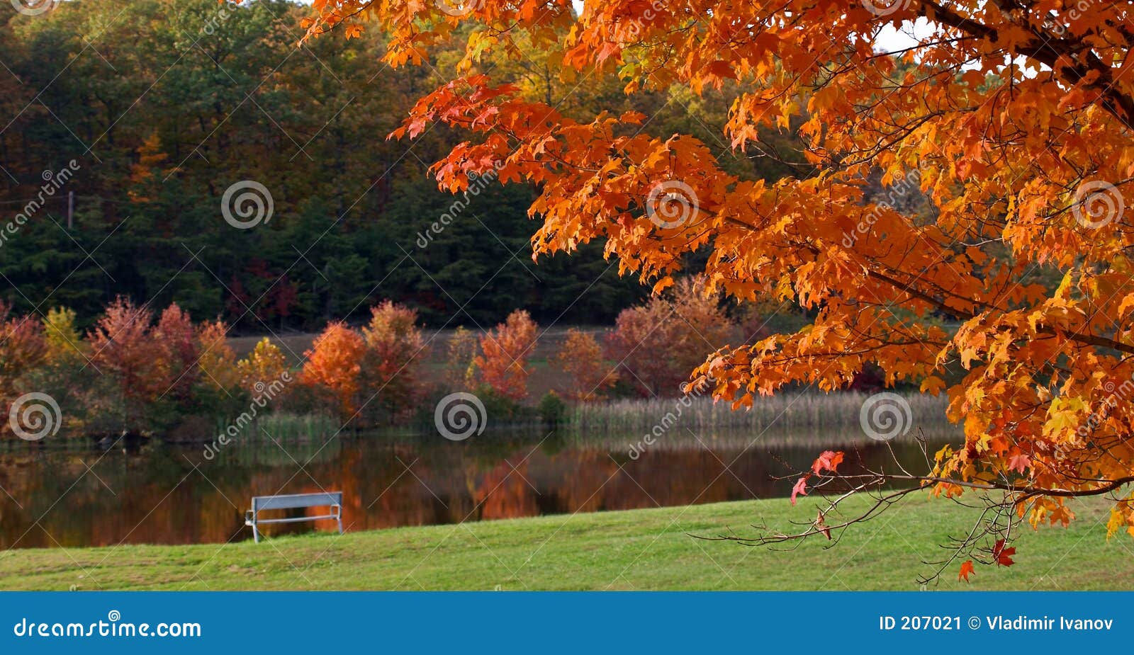 Colorful day stock image. Image of bright, park, fall, peace - 207021