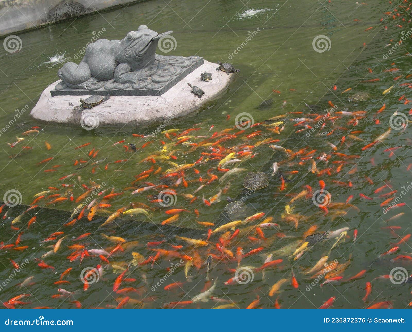 A Colorful Decorative Fish Float in an Artificial Pond, View from Above ...