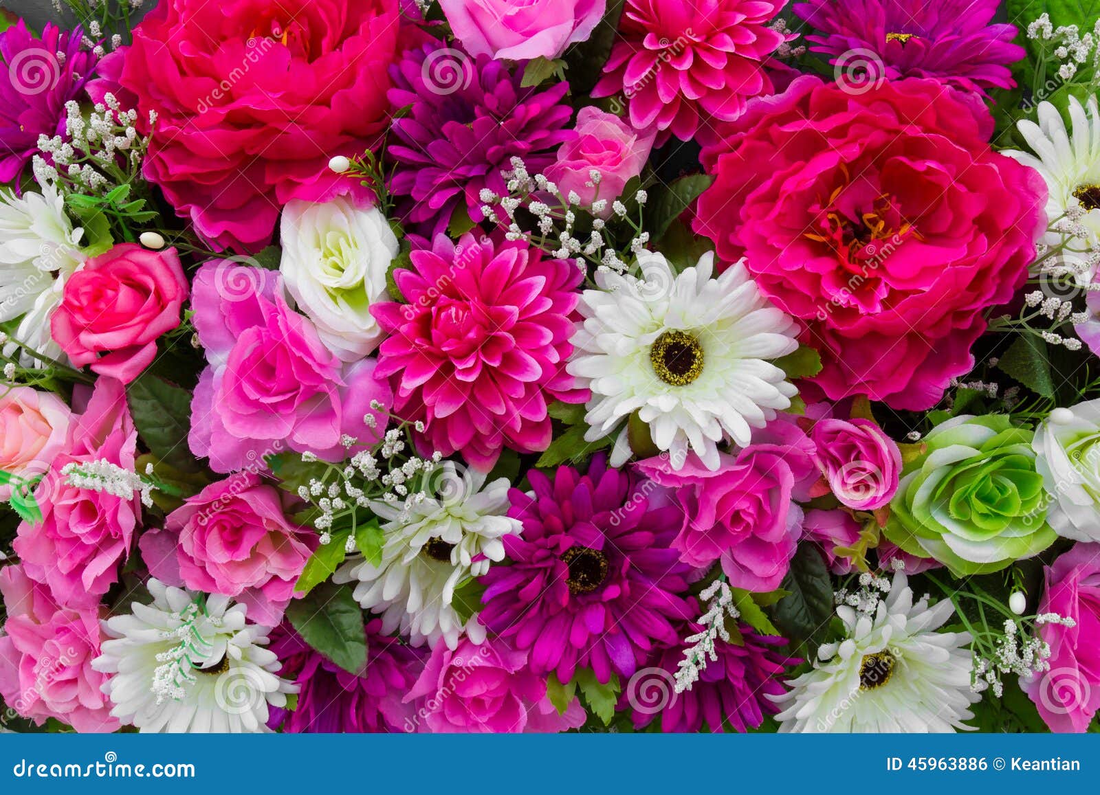 Colorful Decorative Flowers Stock Photo - Image of garden, daisy: 45963886