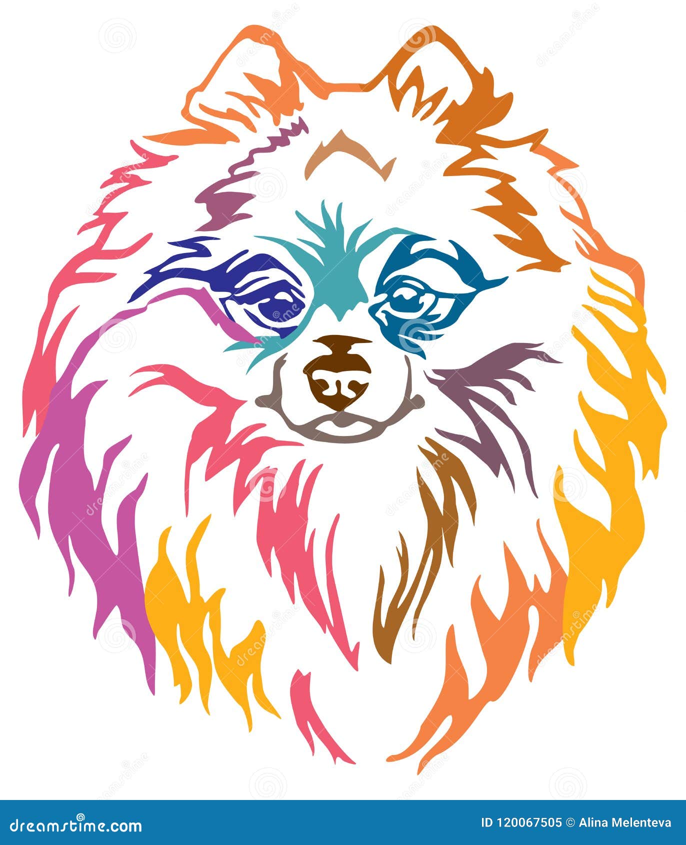 Colorful Decorative Portrait of Dog Pomeranian Spitz Vector ... Colorful Decorative Portrait of Dog Pomeranian Spitz Vector ...
