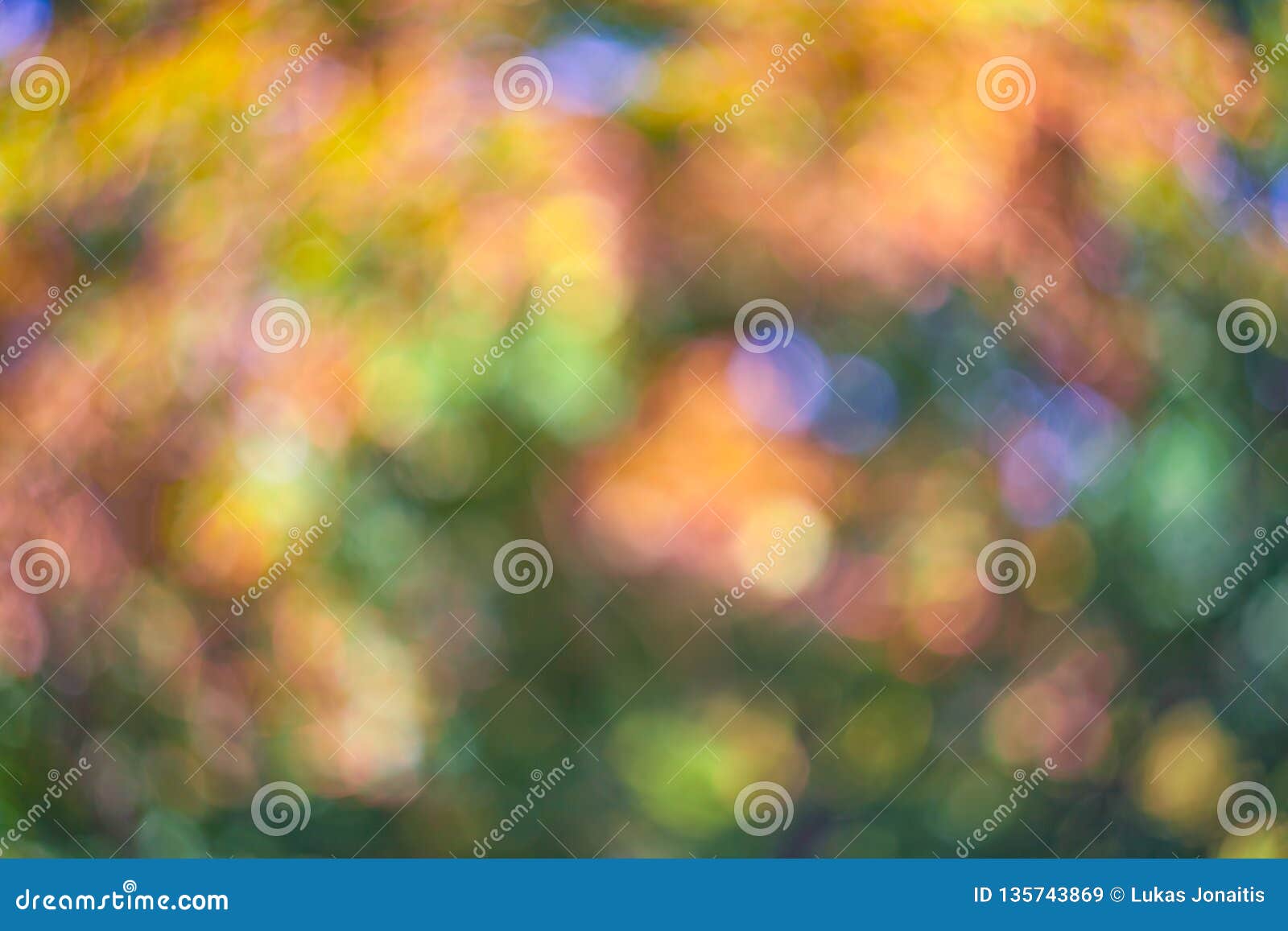 Colorful Defocused Background of Nature Leaves Pattern Stock Image ...