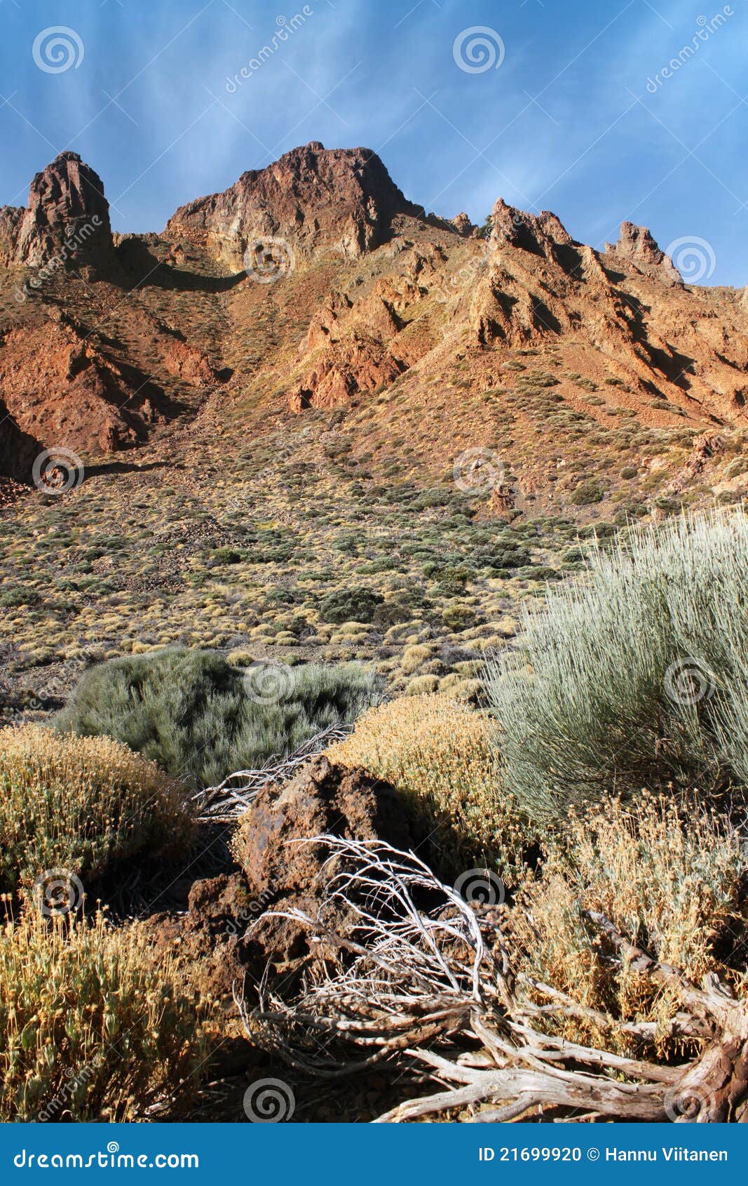 Colorful desert stock photo. Image of nature, desert - 21699920