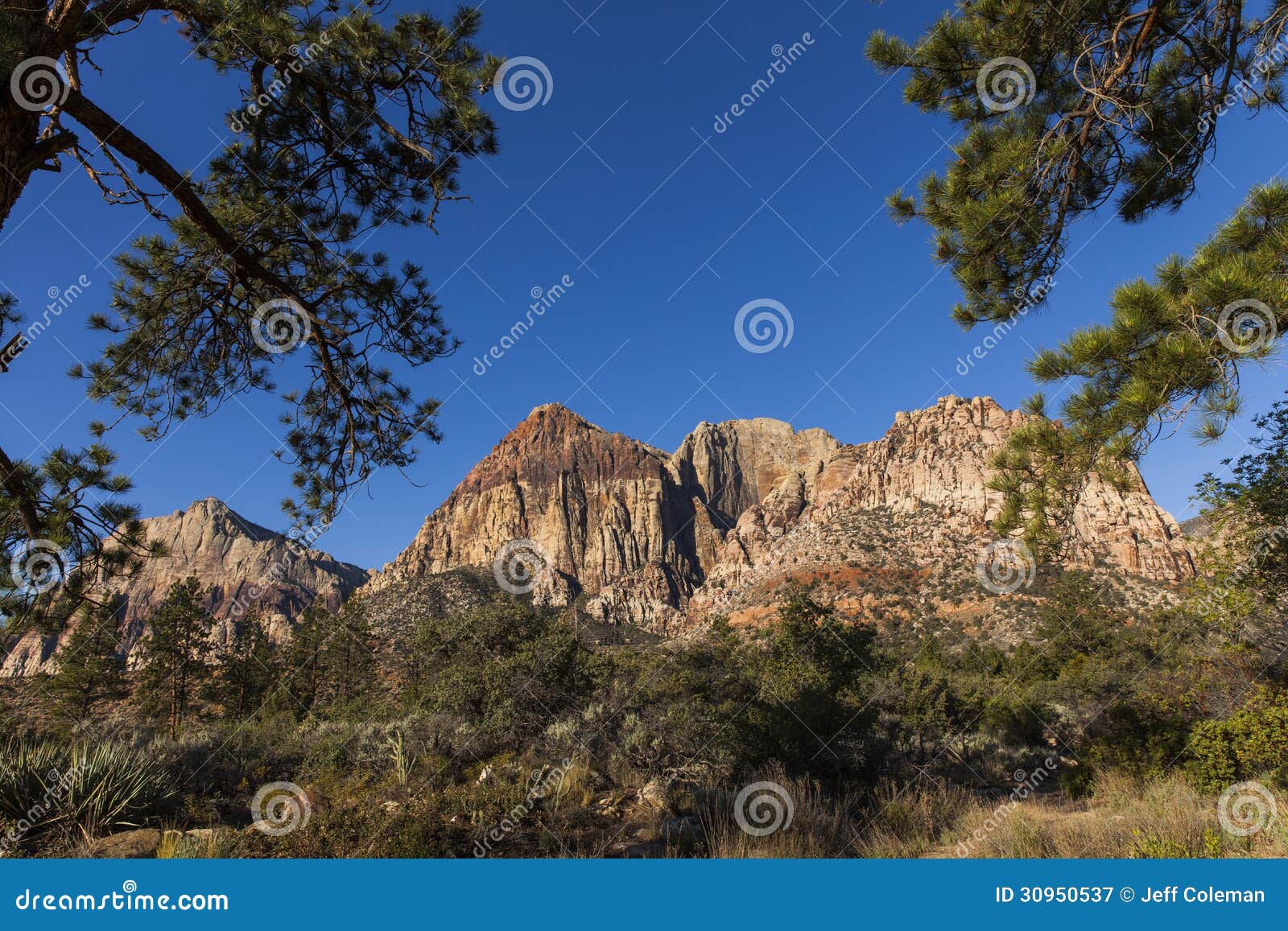 Colorful Desert Mountains Framed by Trees. Stock Image - Image of blue ...