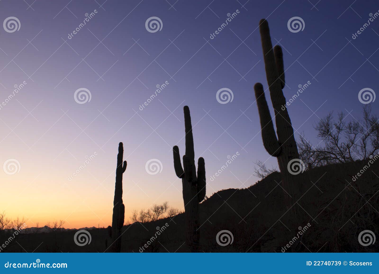 Colorful desert sunset stock image. Image of cactus, desert - 22740739