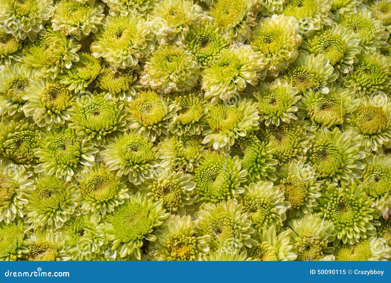 Colorful Design Pattern of Flower Texture and Background Stock Image ...